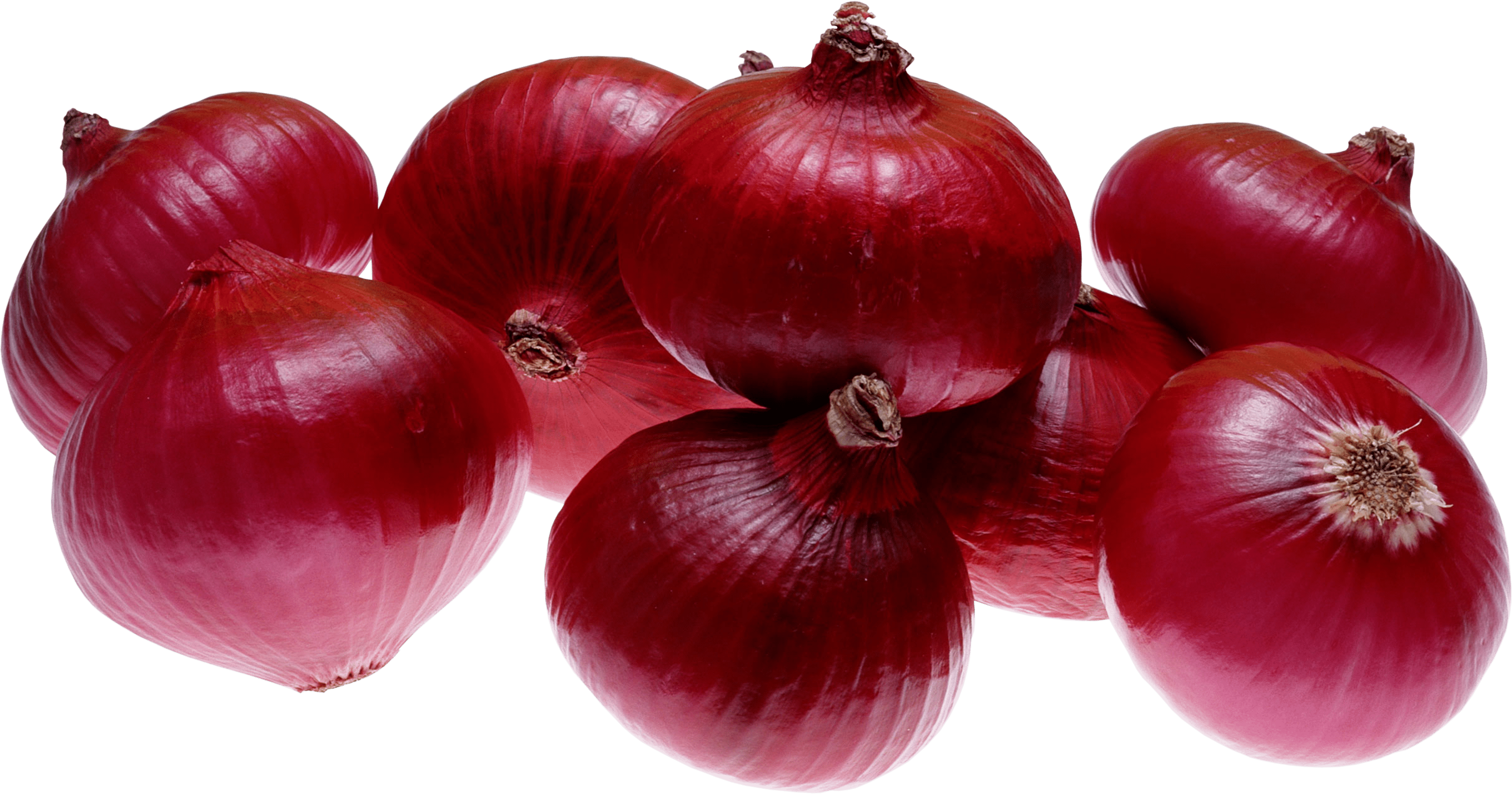 Onion Wallpapers - Top Free Onion Backgrounds - WallpaperAccess