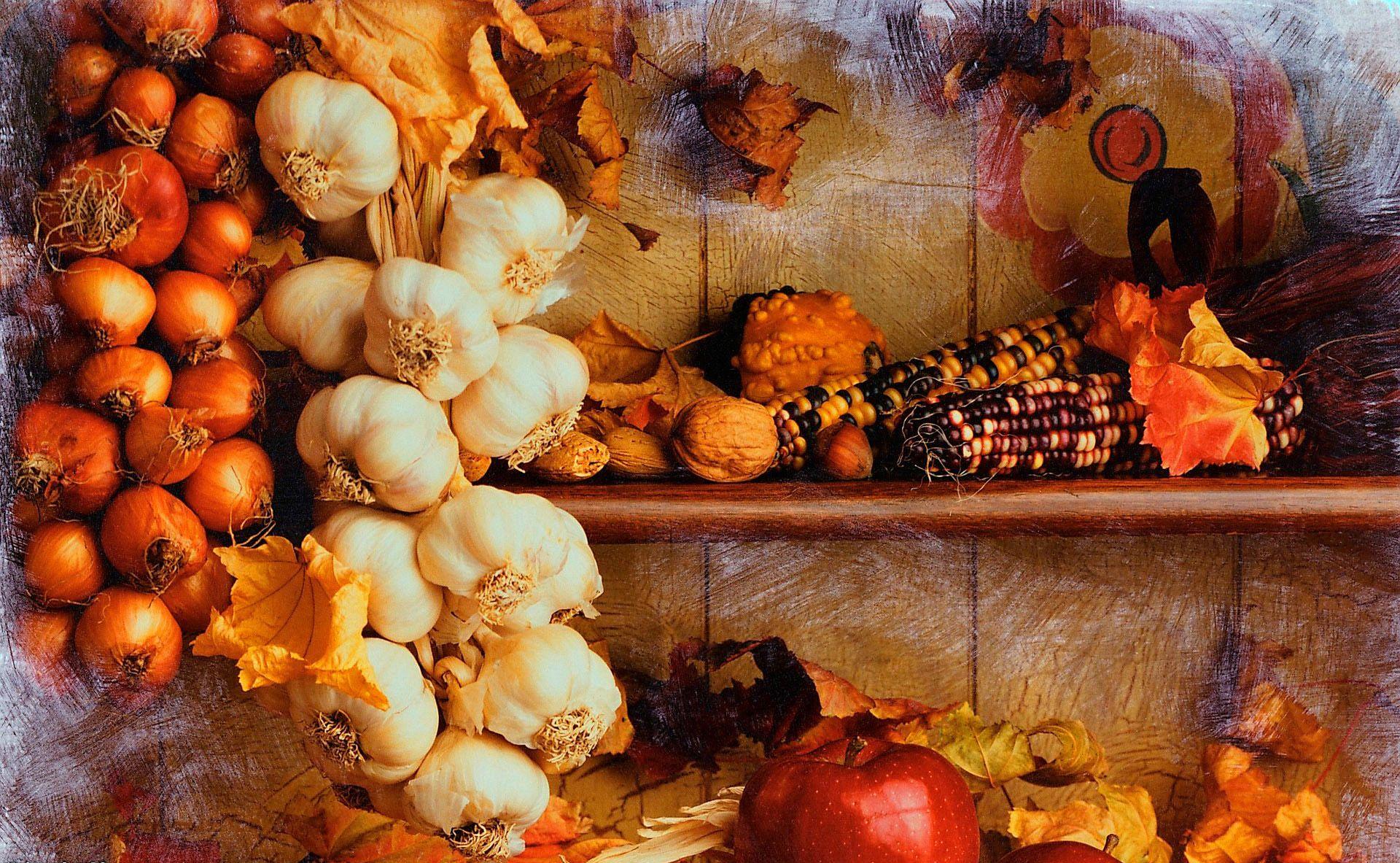 Onion Wallpapers - Top Free Onion Backgrounds - WallpaperAccess