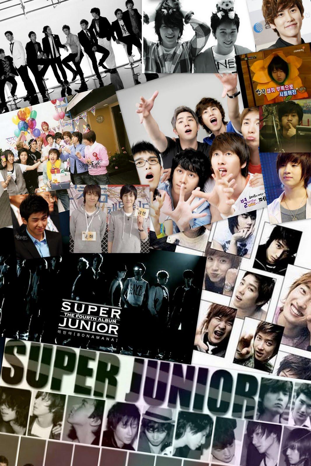 Super Junior Wallpapers - Top Free Super Junior Backgrounds - WallpaperAccess
