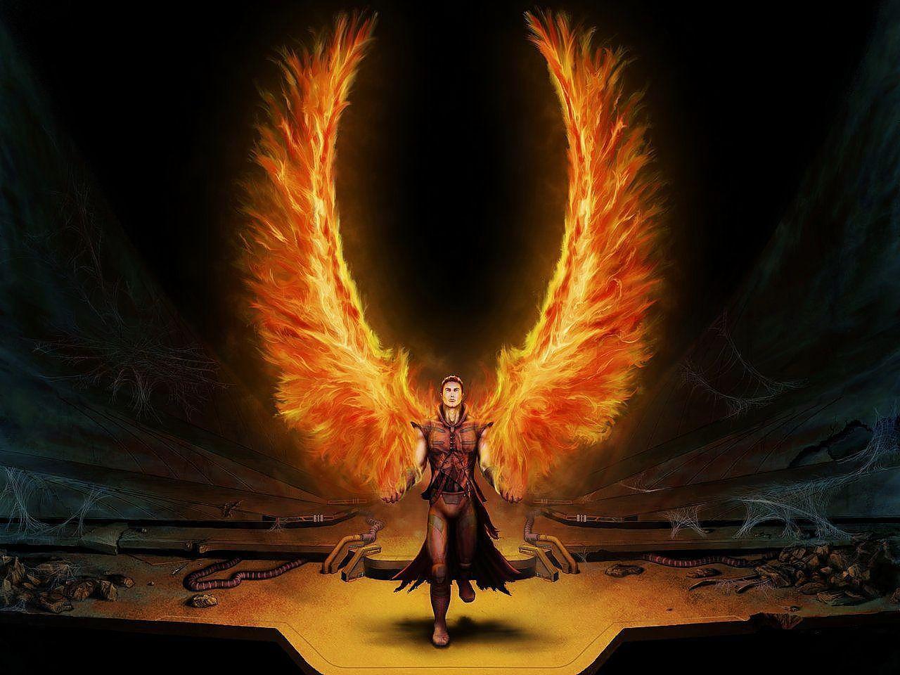 Wings of Fire Wallpapers - Top Free Wings of Fire Backgrounds ...