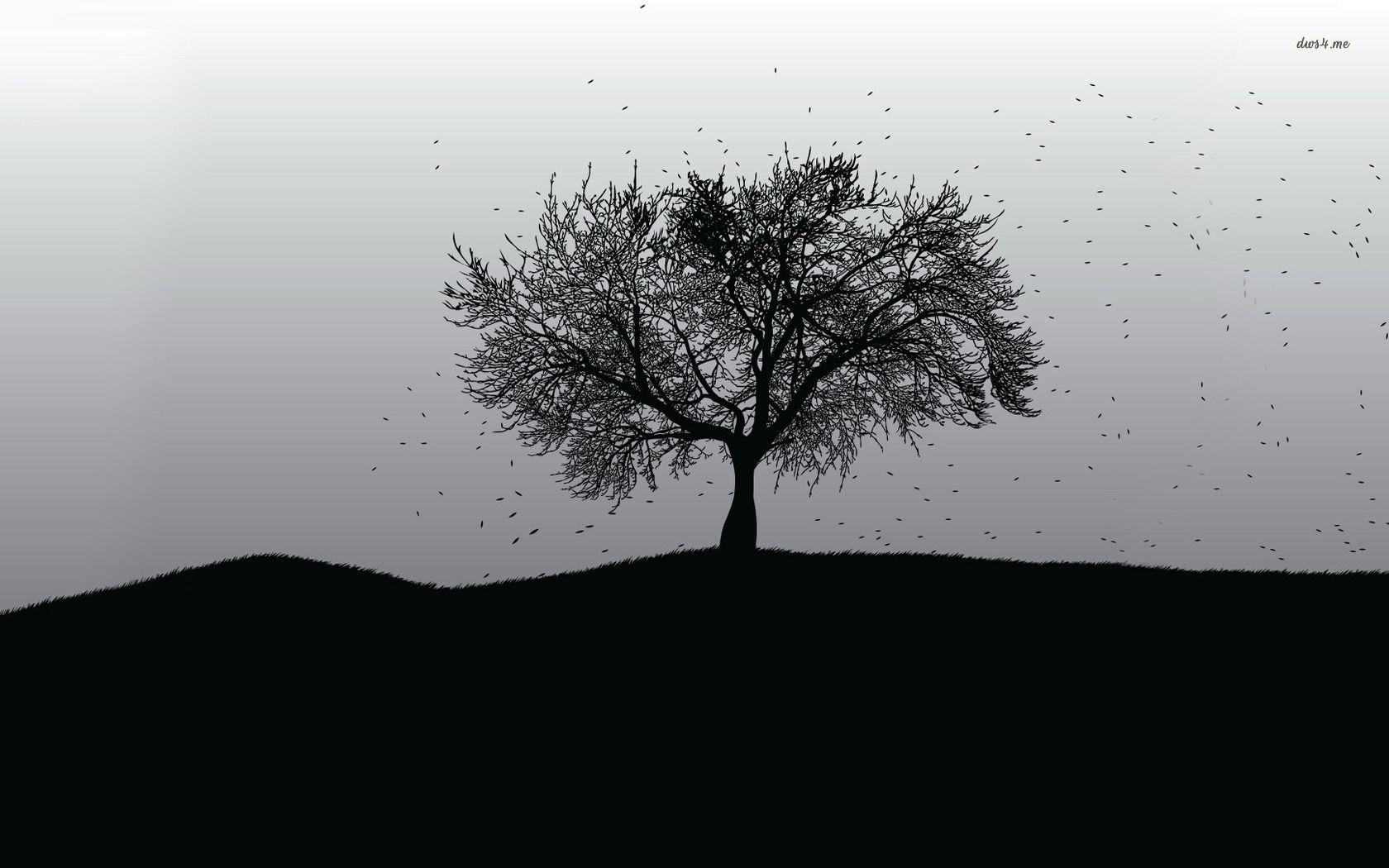 Contrast Wallpapers - Top Free Contrast Backgrounds - WallpaperAccess