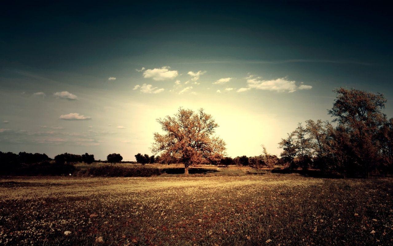 Contrast Wallpapers - Top Free Contrast Backgrounds - WallpaperAccess