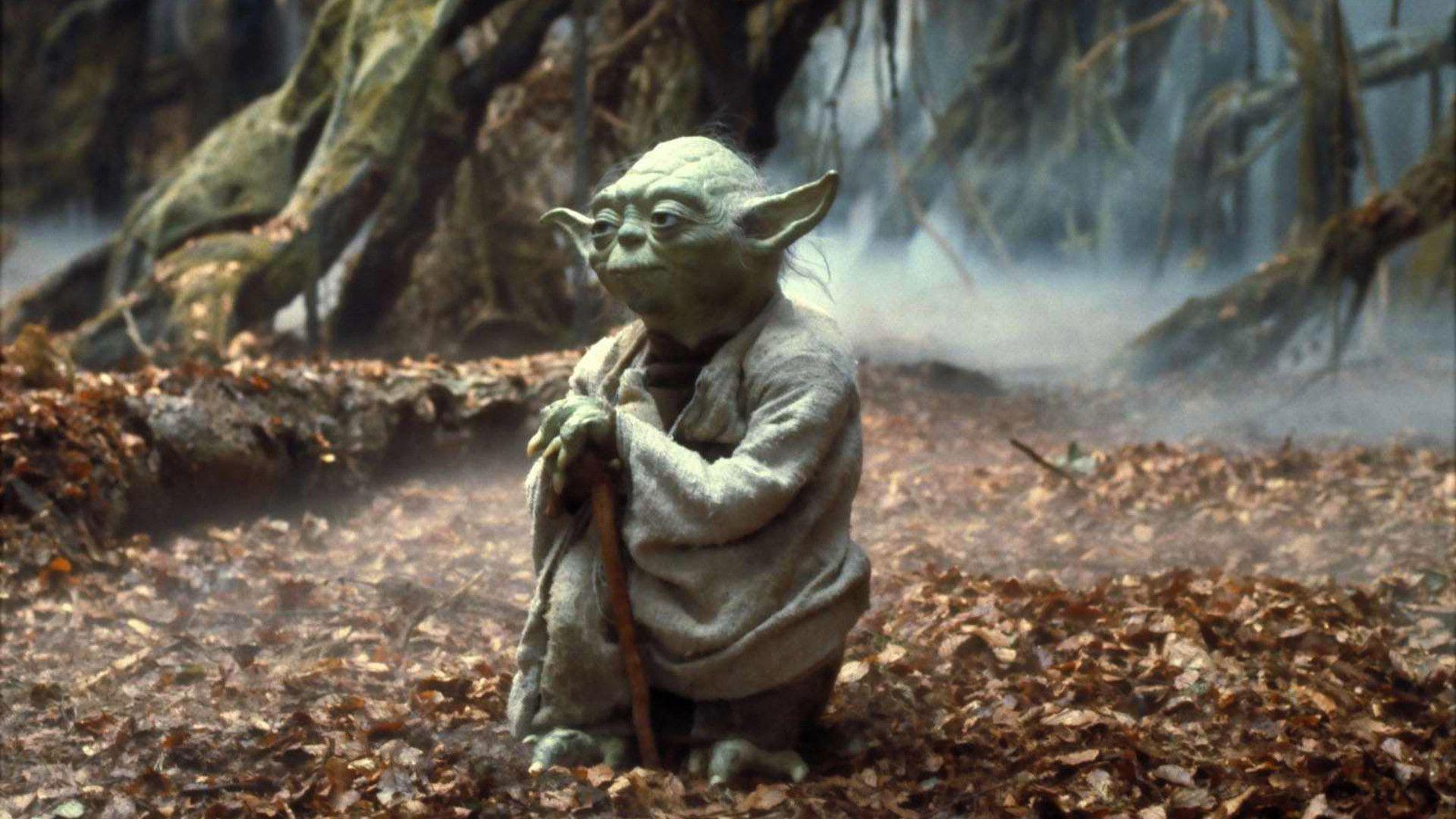 Master Yoda Wallpapers - Top Free Master Yoda Backgrounds - WallpaperAccess