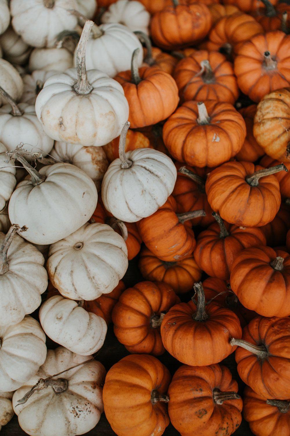 Cozy Fall Wallpapers - Top Free Cozy Fall Backgrounds - WallpaperAccess