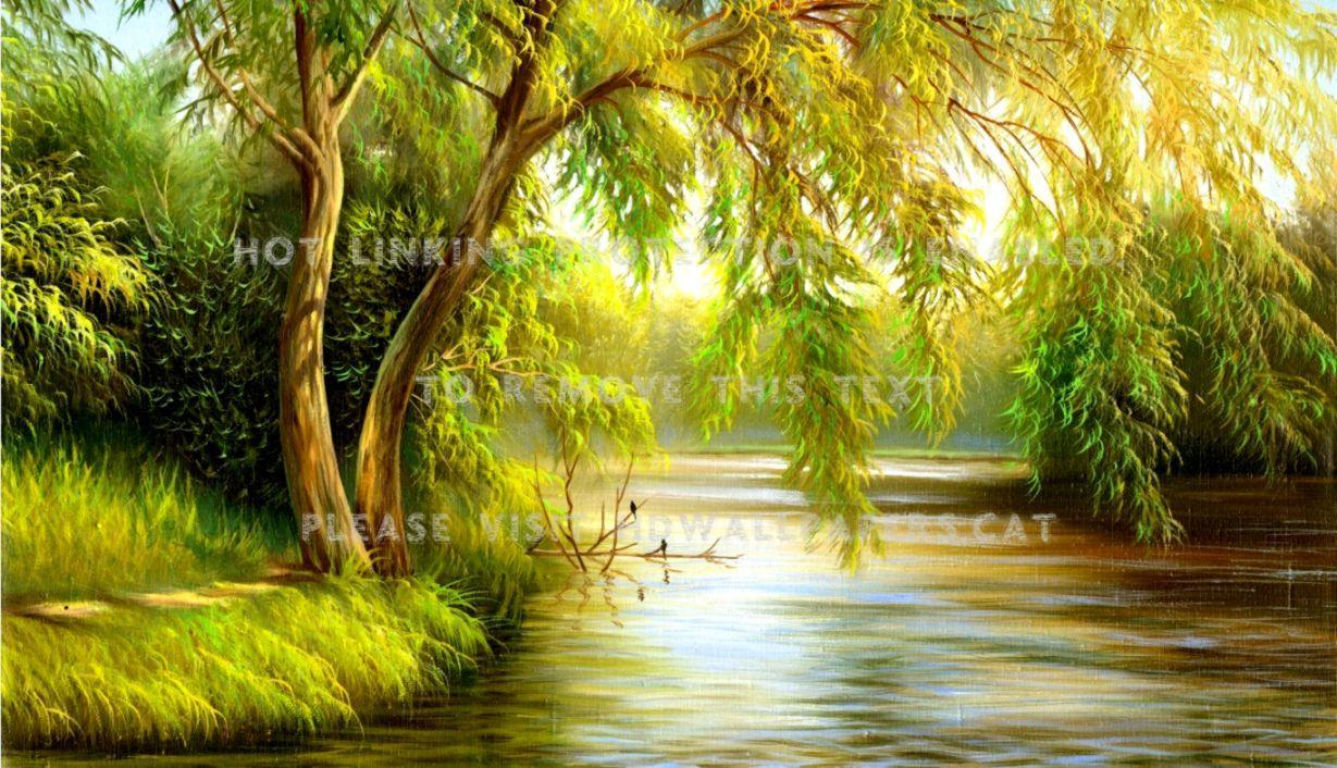 Riverside Wallpapers - Top Free Riverside Backgrounds - WallpaperAccess