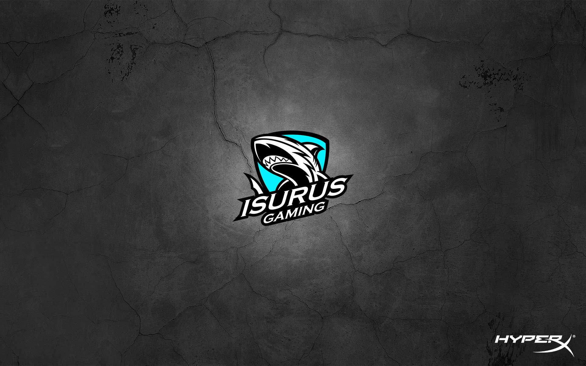 Shroud Wallpapers - Top Free Shroud Backgrounds - WallpaperAccess