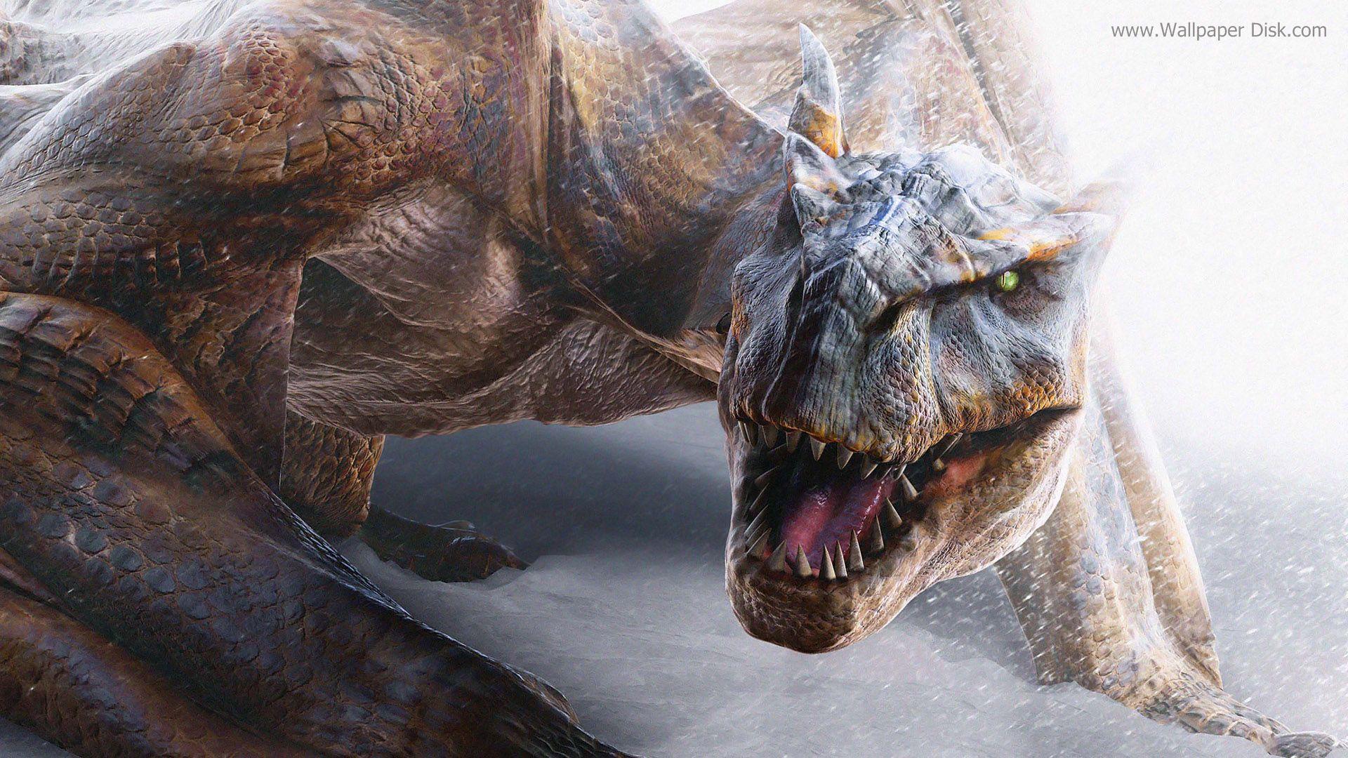 Real Dragon Wallpapers - Top Free Real Dragon Backgrounds - WallpaperAccess