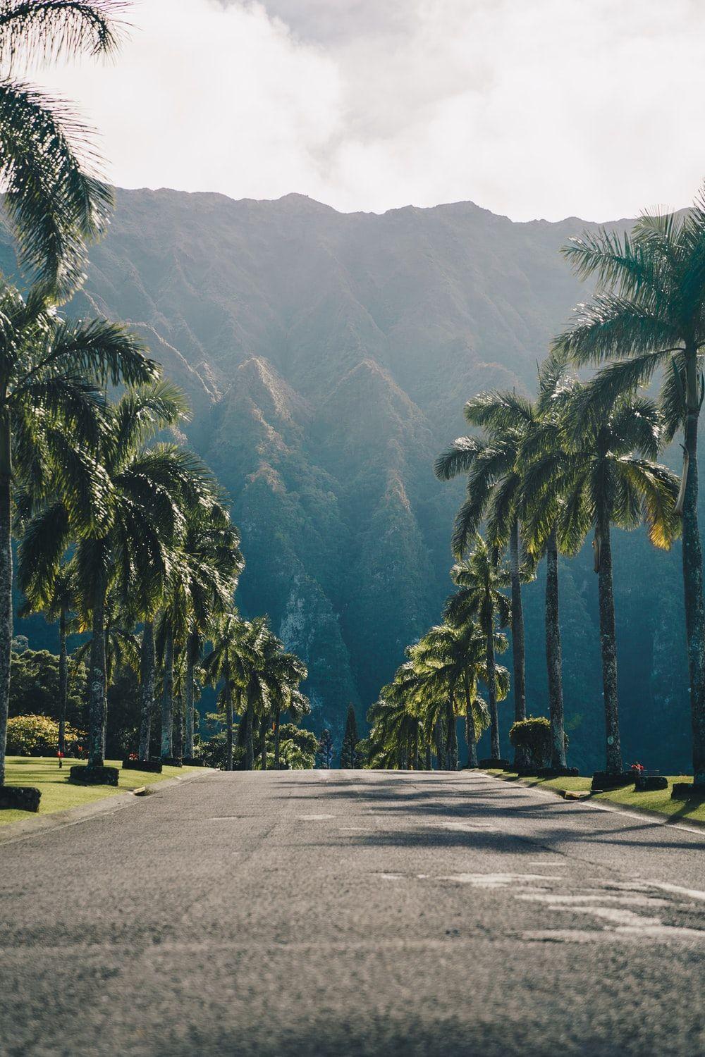 4K Ultra HD Hawaii Wallpapers - Top Free 4K Ultra HD Hawaii Backgrounds ...