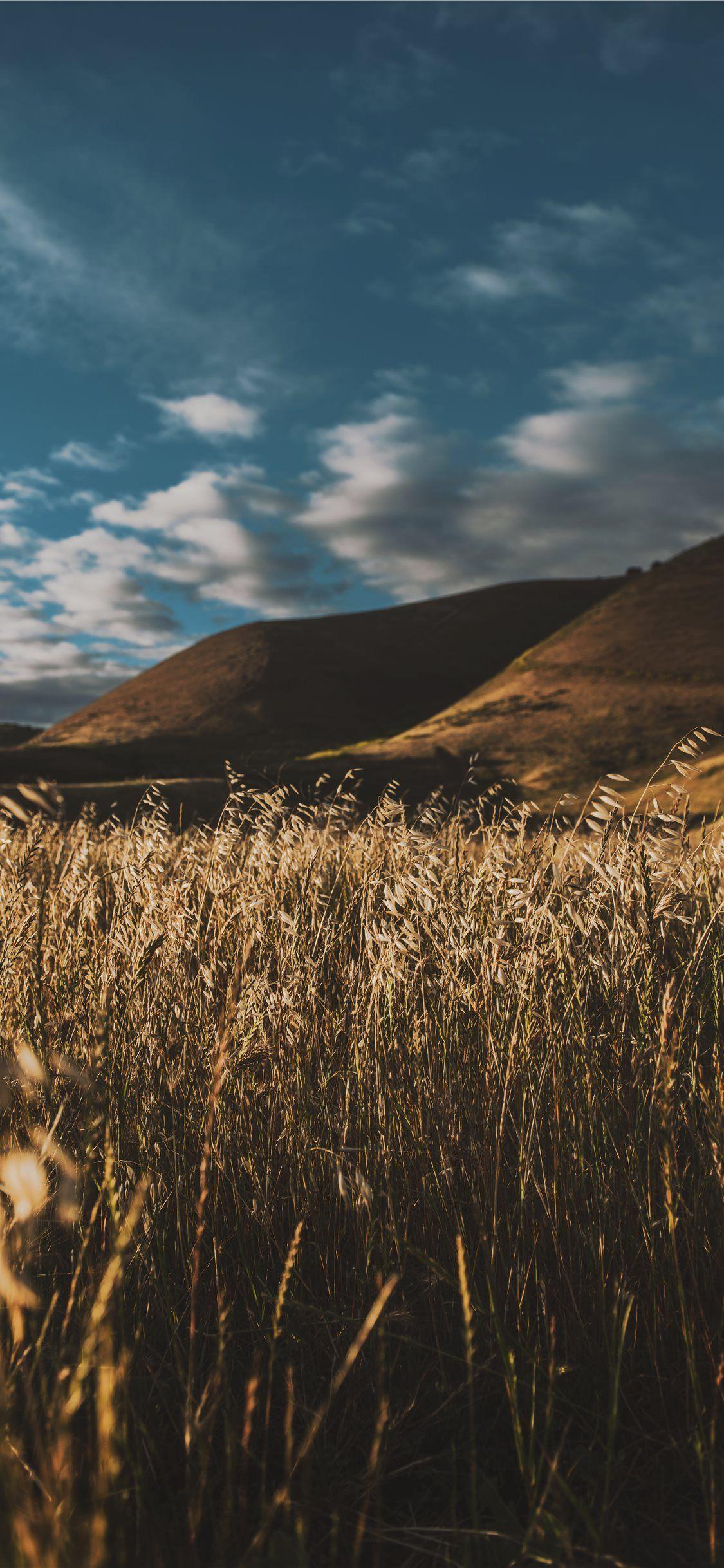 iPhone California Wallpapers - Top Free iPhone California Backgrounds ...