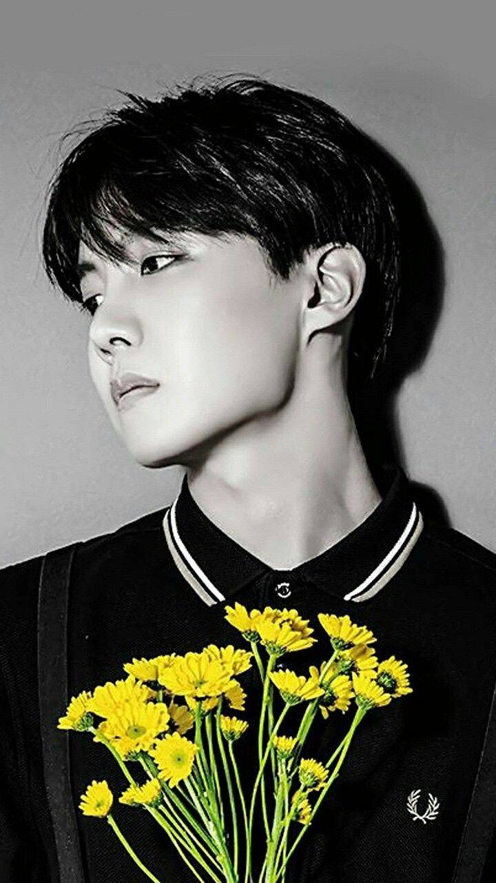 Jhope Yellow Wallpapers - Top Free Jhope Yellow Backgrounds ...
