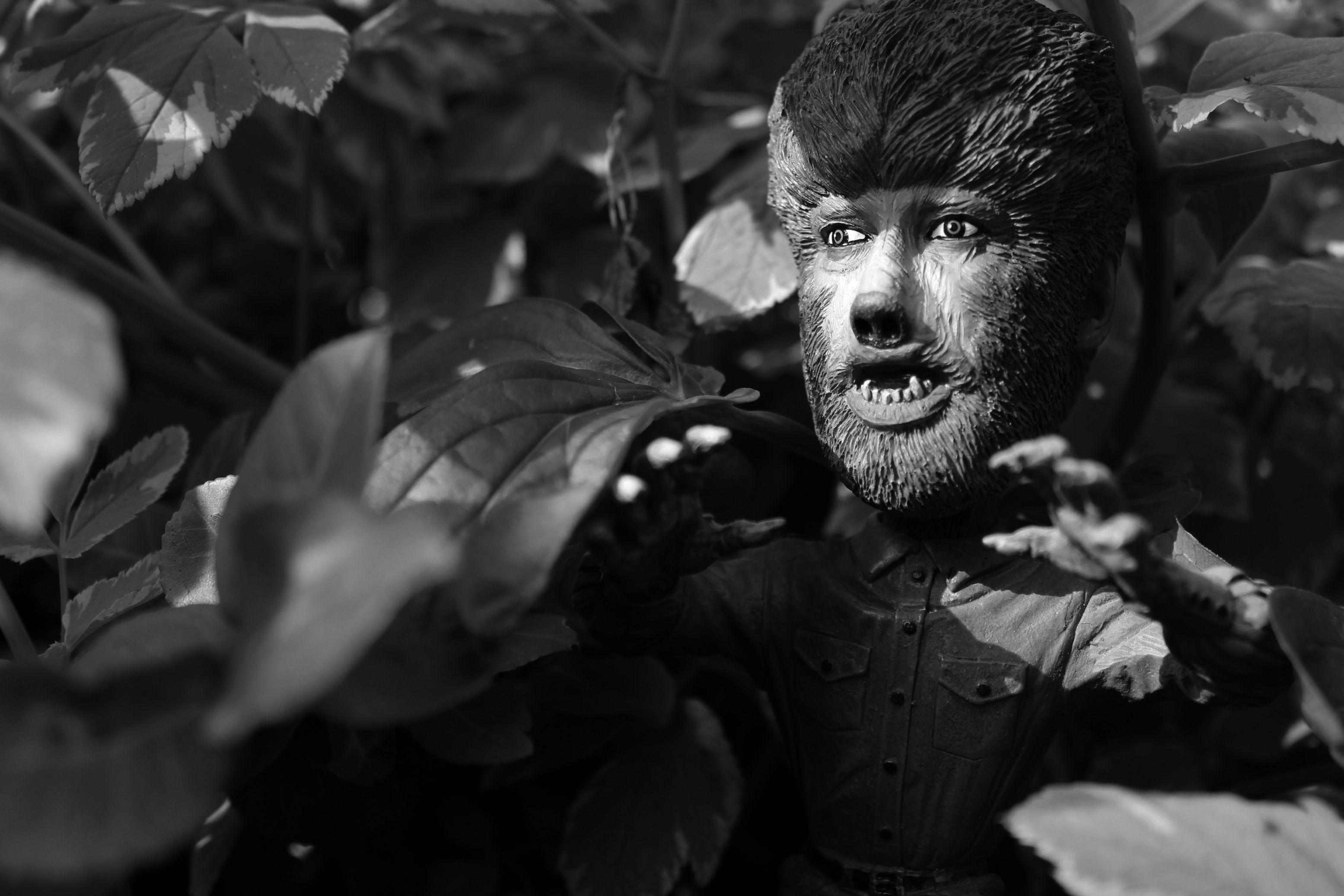 Wolfman Wallpapers - Top Free Wolfman Backgrounds - WallpaperAccess