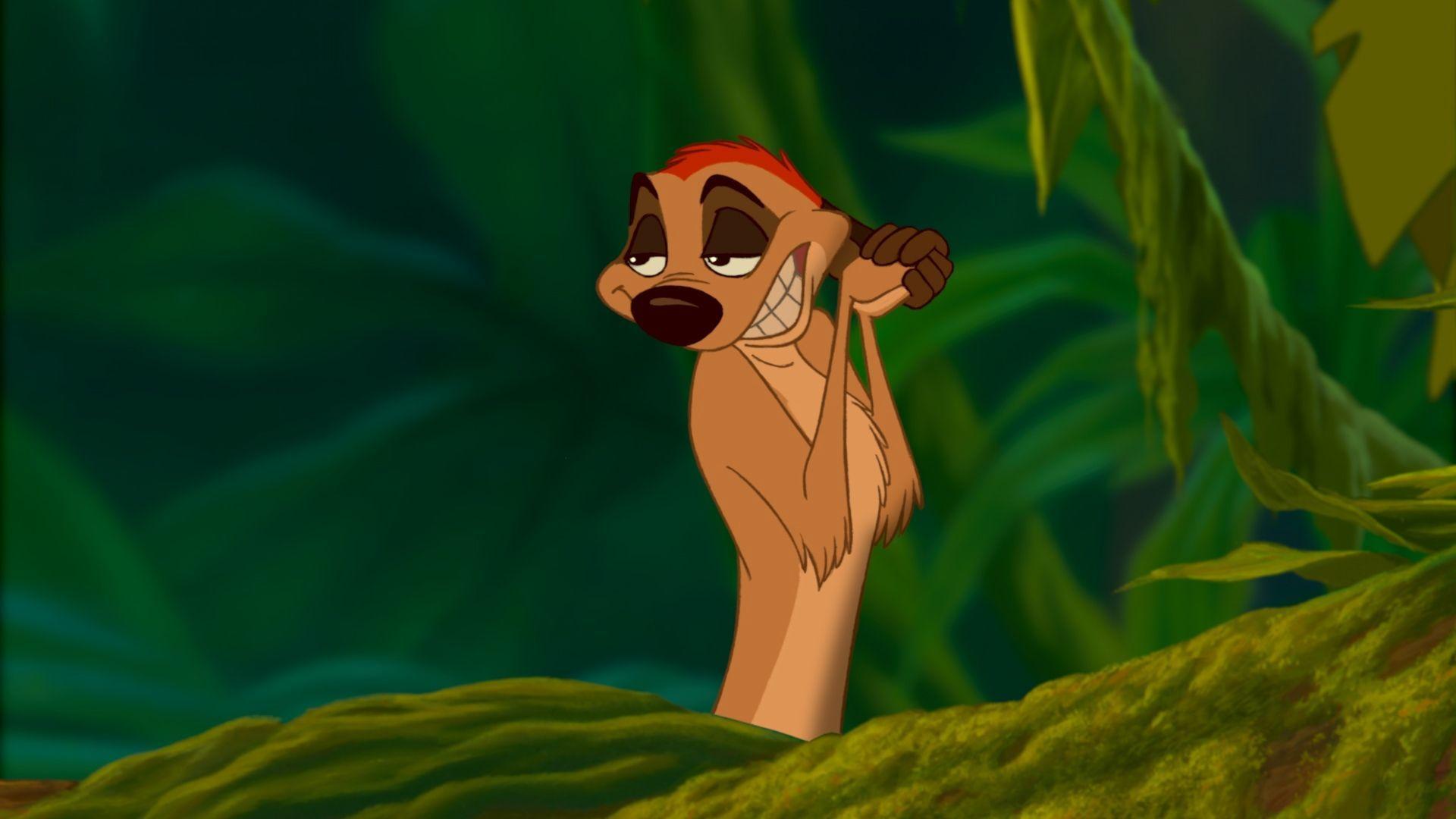 Timón Wallpapers - Top Free Timón Backgrounds - WallpaperAccess