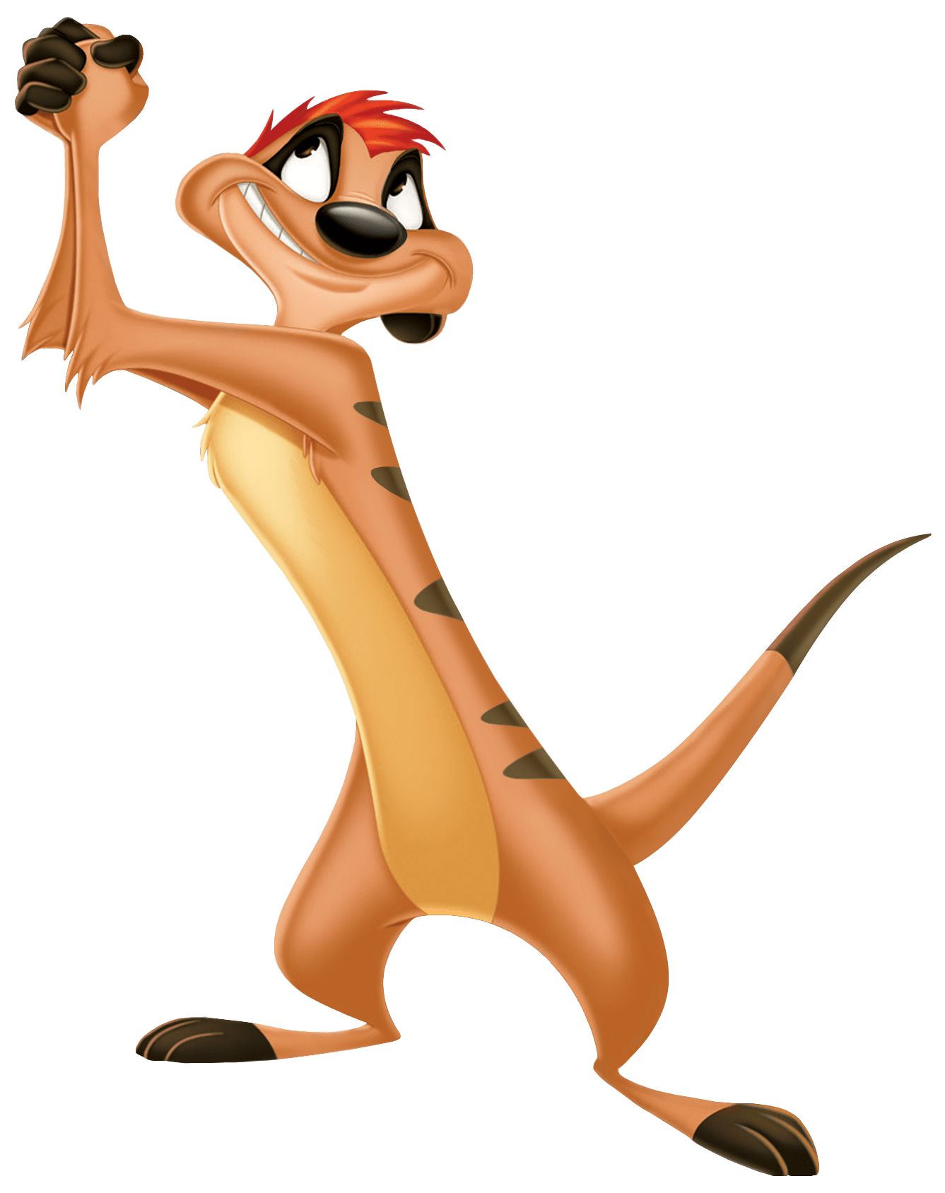 Timón Wallpapers - Top Free Timón Backgrounds - WallpaperAccess