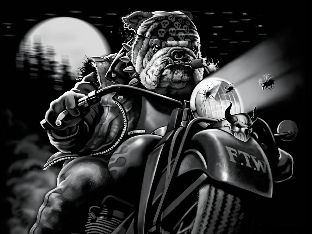 Hog Biker Art Wallpapers - Top Free Hog Biker Art Backgrounds ...