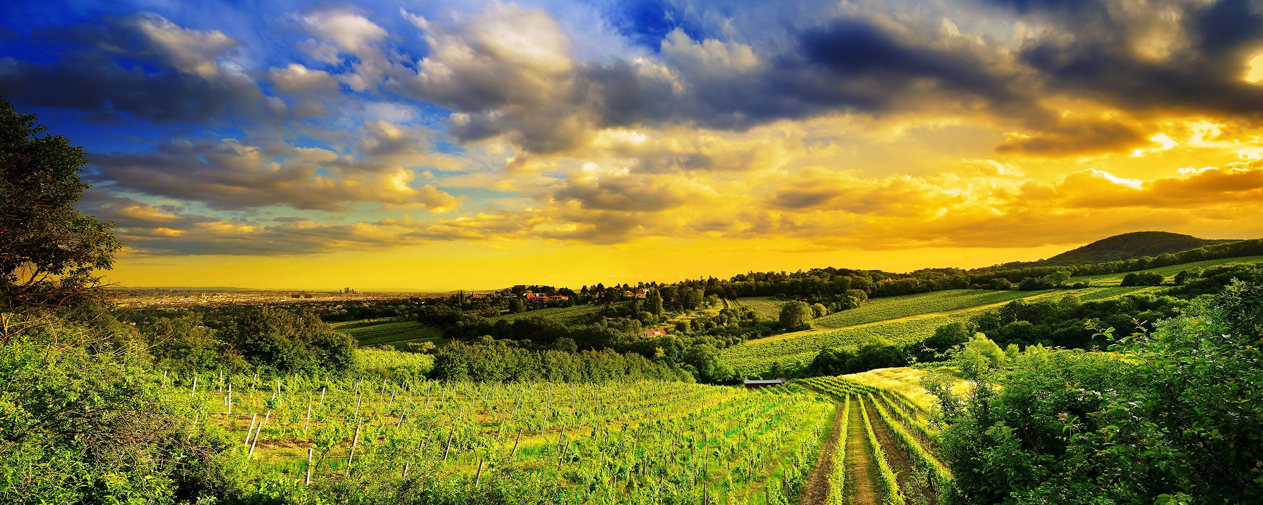 14K Resolution Wallpapers - Top Free 14K Resolution Backgrounds ...