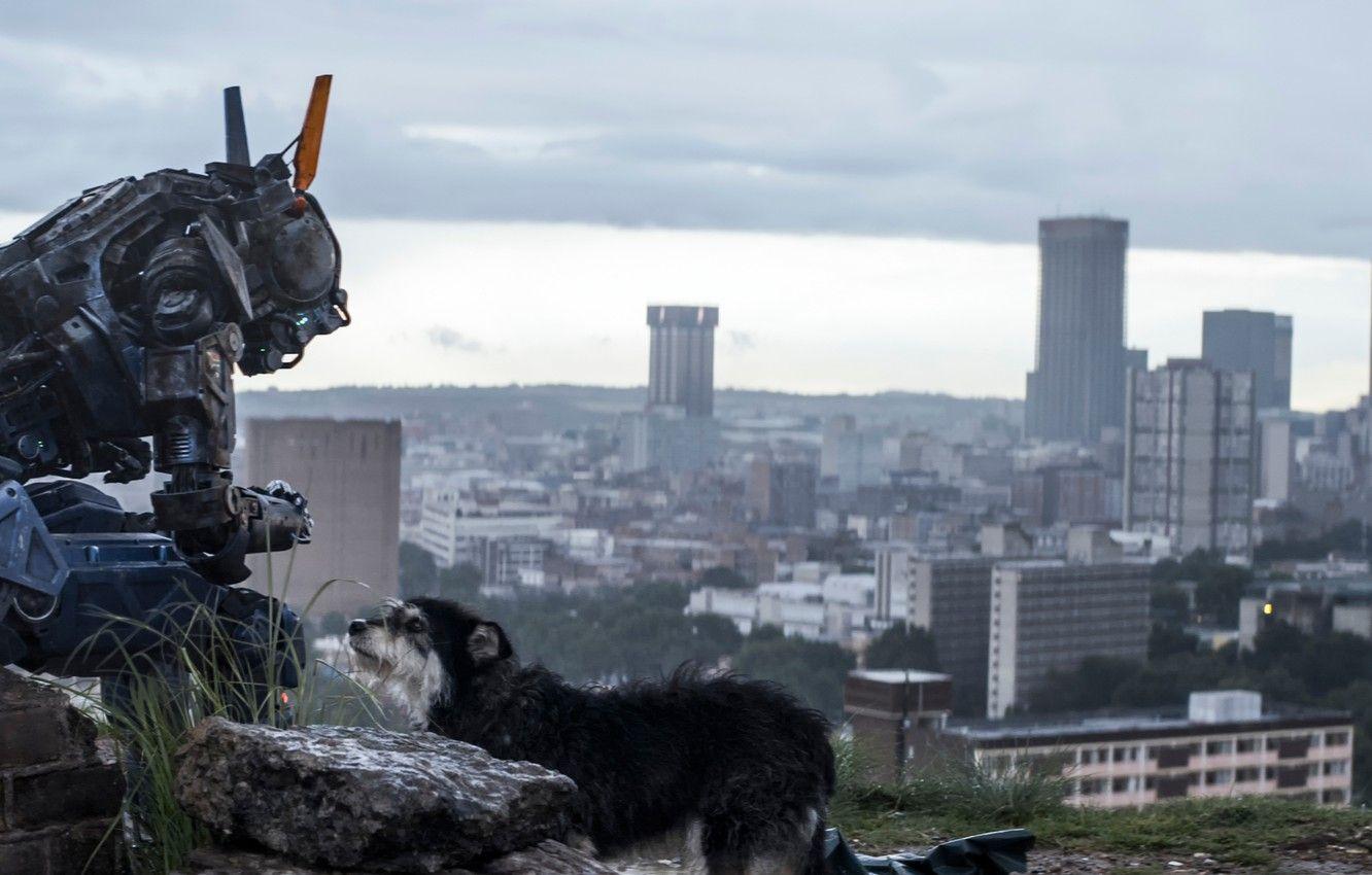 Chappie Wallpapers - Top Free Chappie Backgrounds - WallpaperAccess