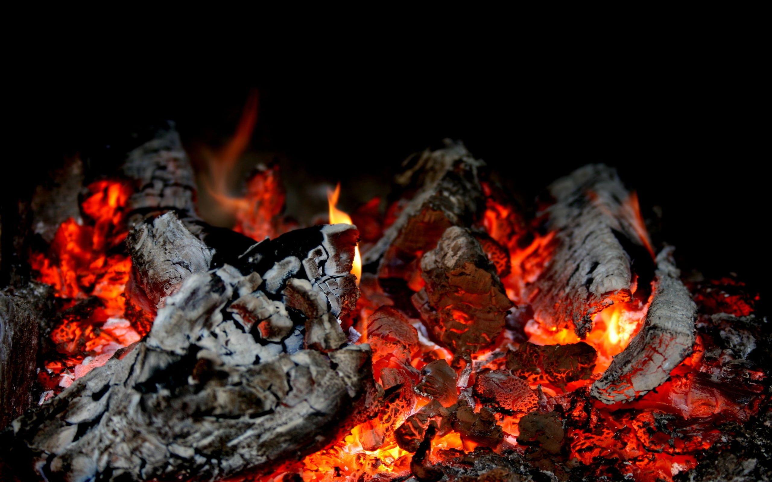 Wood Fire Wallpapers - Top Free Wood Fire Backgrounds - WallpaperAccess
