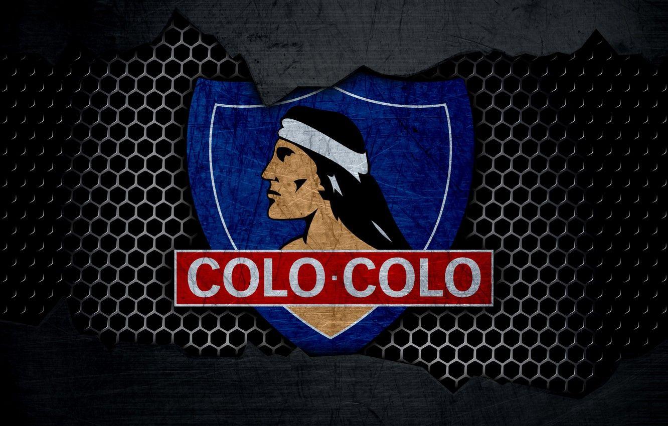Colo-colo Wallpapers - Top Free Colo-colo Backgrounds - WallpaperAccess