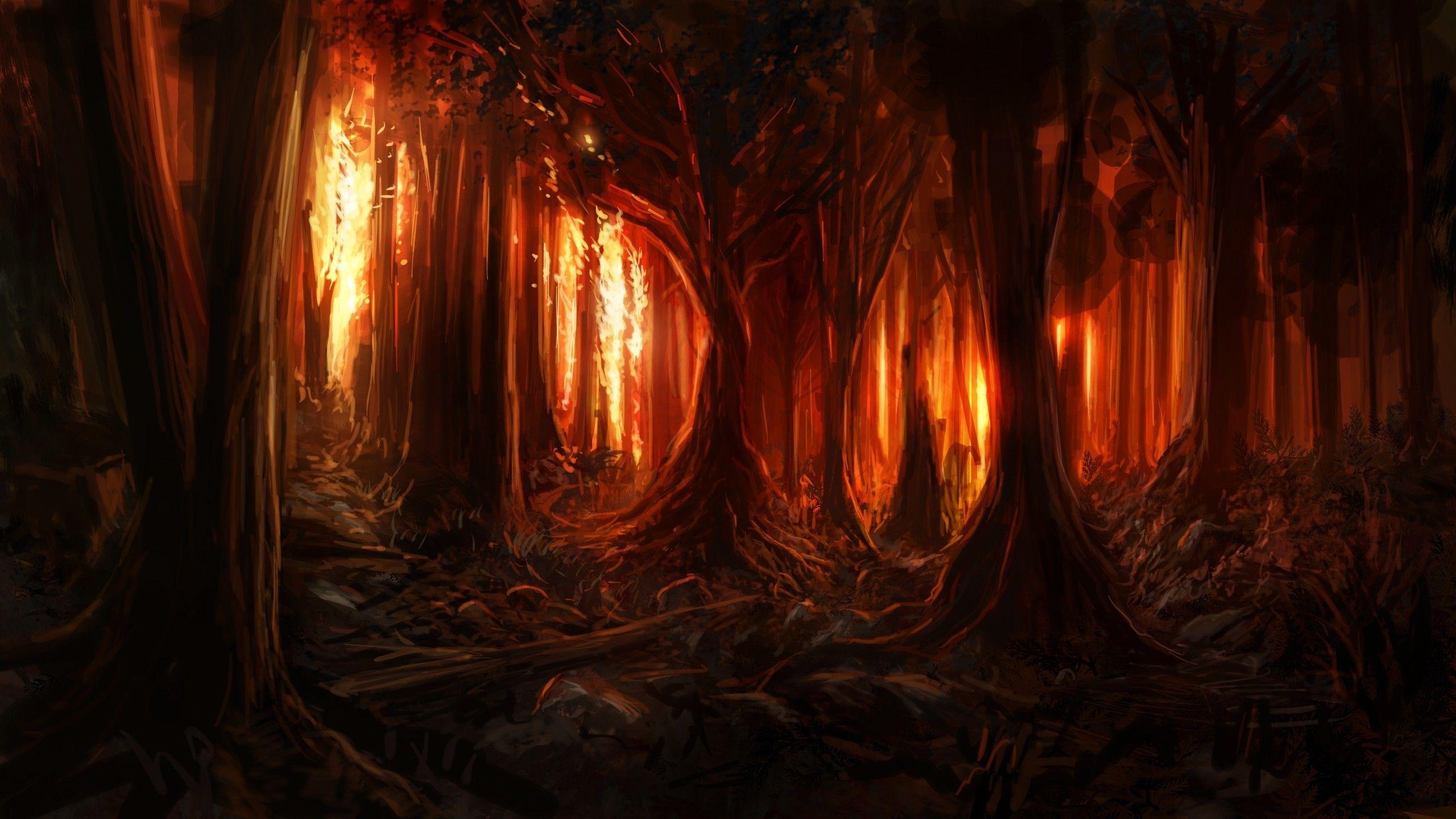 Wood Fire Wallpapers - Top Free Wood Fire Backgrounds - WallpaperAccess