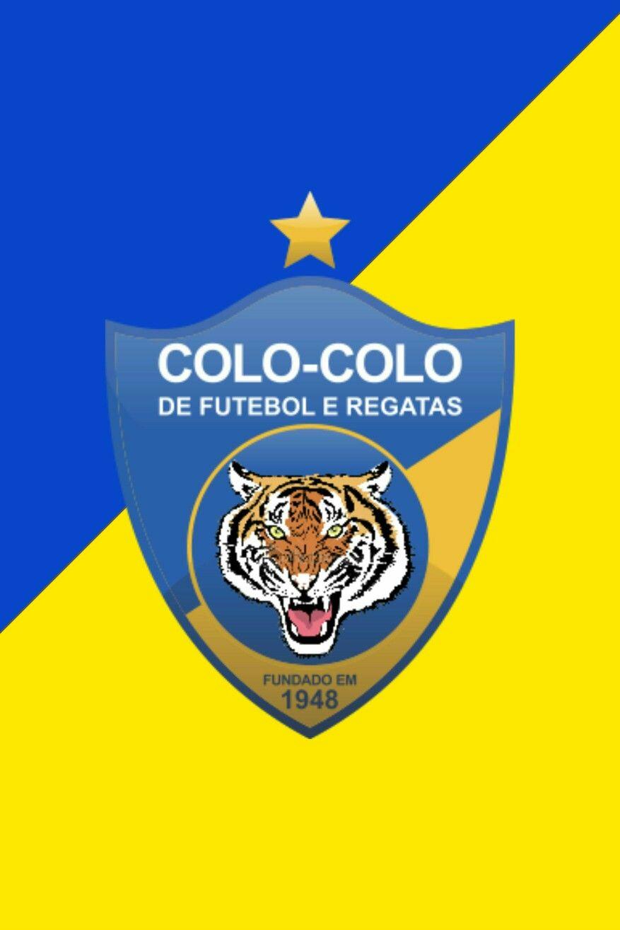 Colo-colo Wallpapers - Top Free Colo-colo Backgrounds - WallpaperAccess