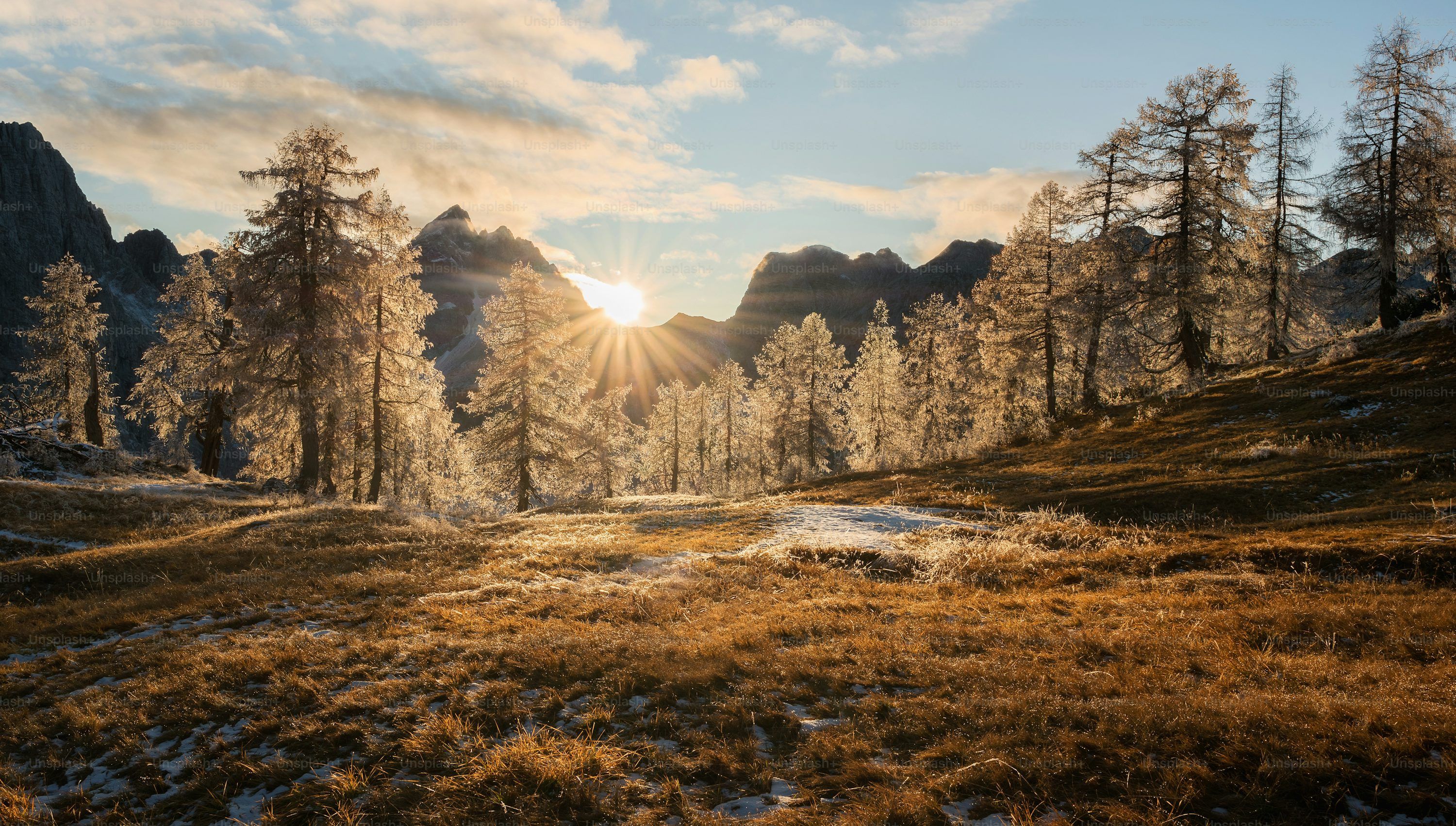 Renewed Nature Wallpapers - Top Free Renewed Nature Backgrounds ...