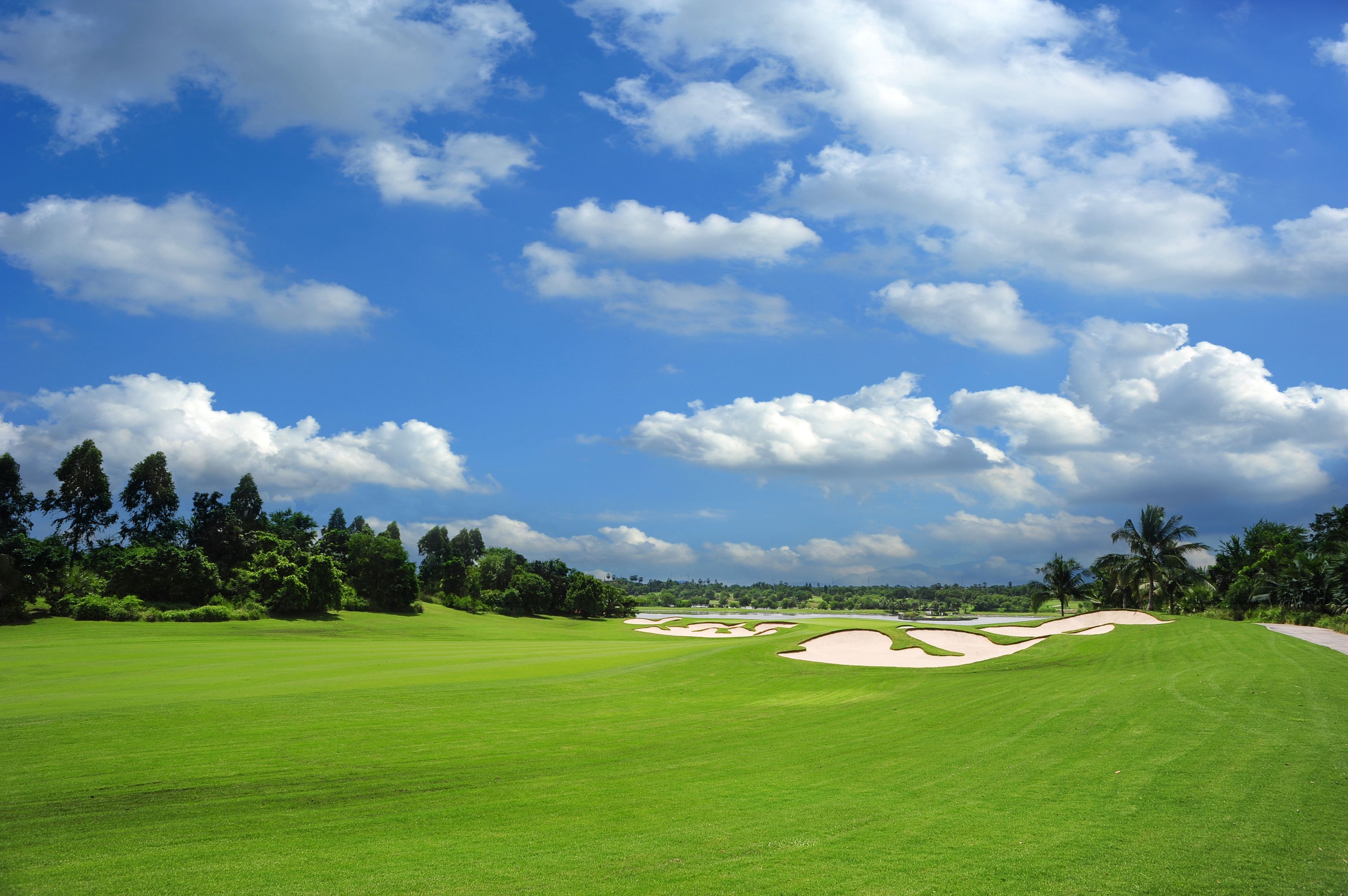 Golf Club Wallpapers - Top Free Golf Club Backgrounds - WallpaperAccess