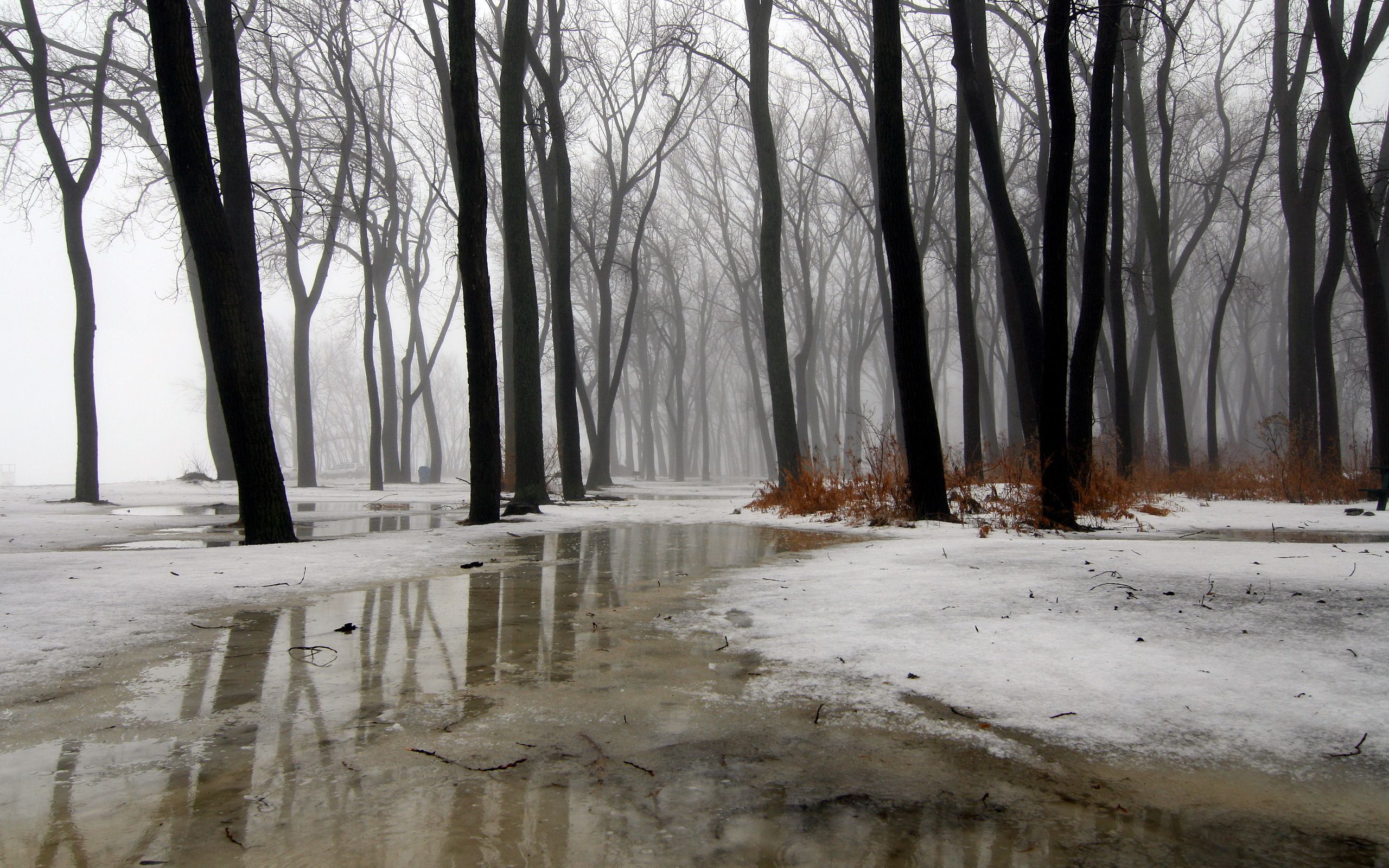 Snow Rain Wallpapers - Top Free Snow Rain Backgrounds - WallpaperAccess