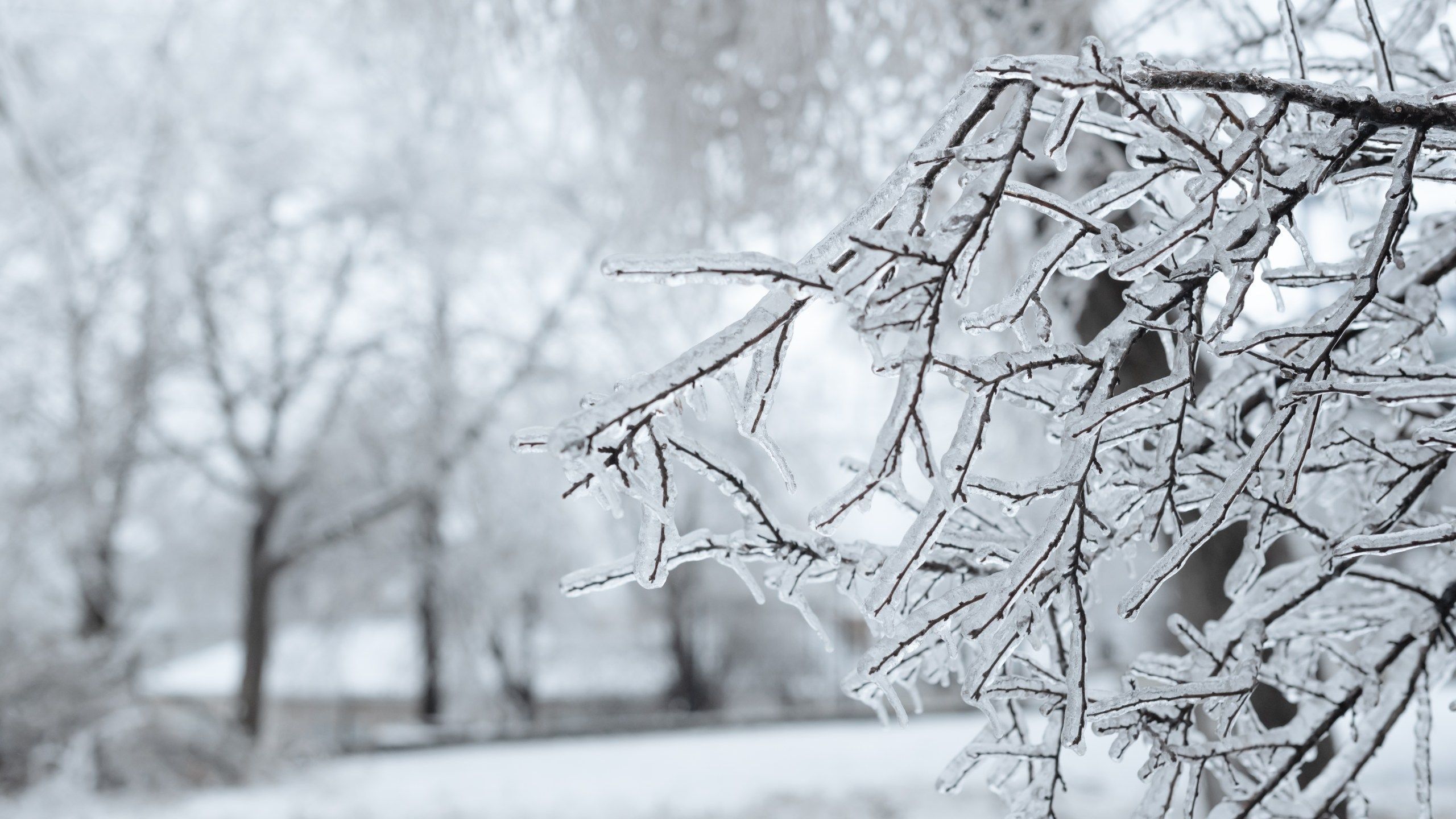 Snow Rain Wallpapers - Top Free Snow Rain Backgrounds - WallpaperAccess