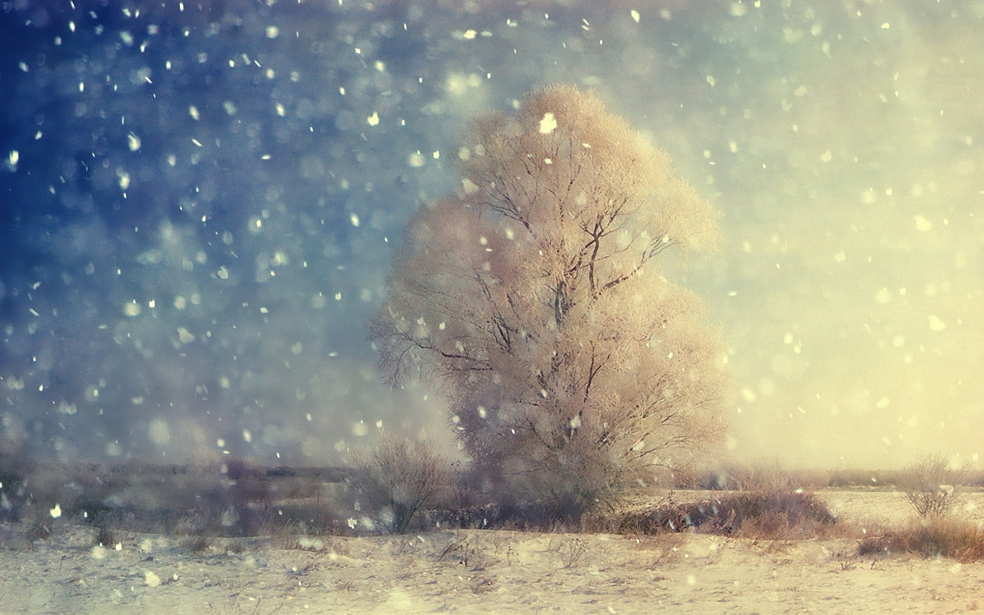 Snow Rain Wallpapers - Top Free Snow Rain Backgrounds - WallpaperAccess