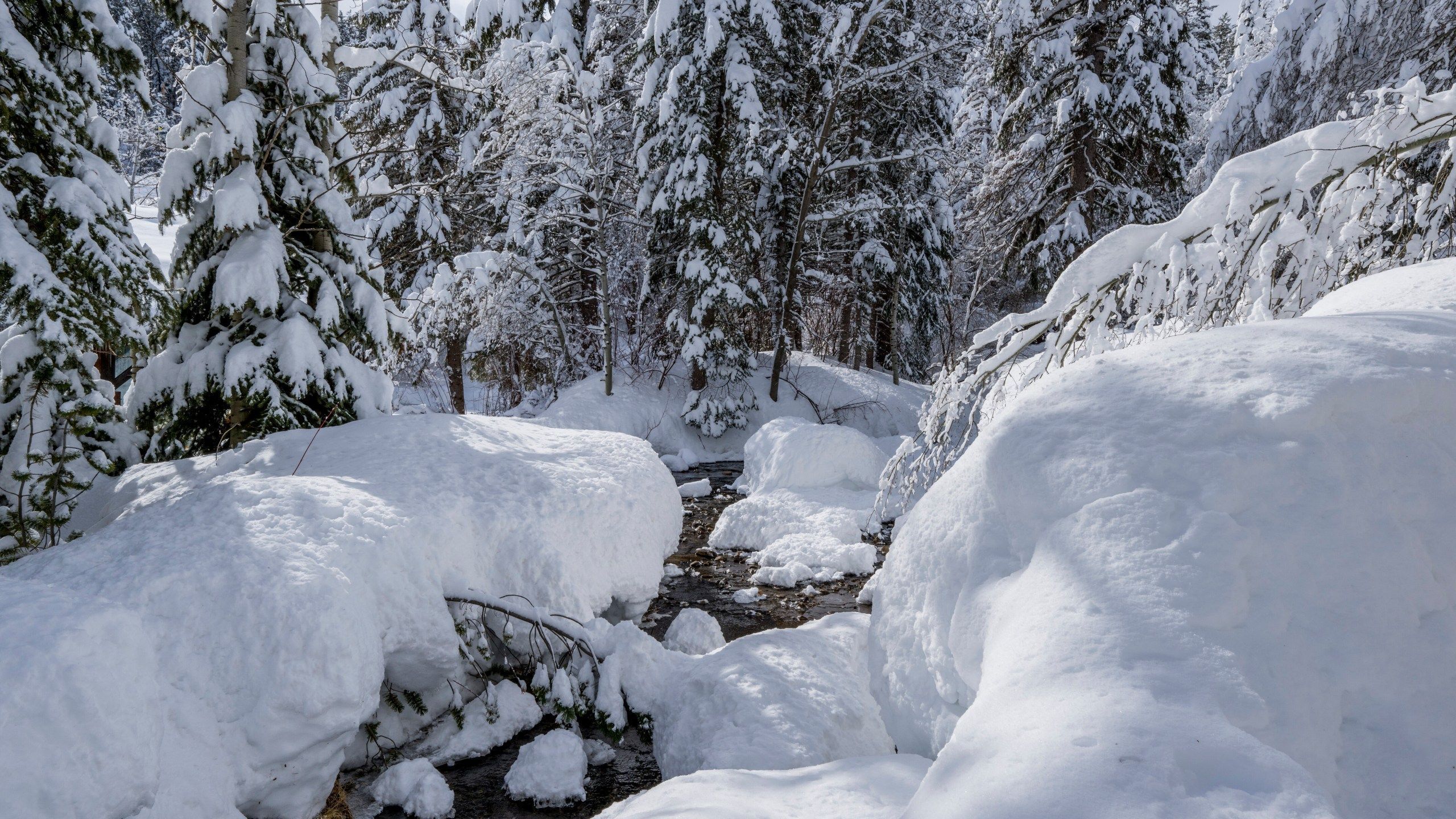 Snow Rain Wallpapers - Top Free Snow Rain Backgrounds - WallpaperAccess