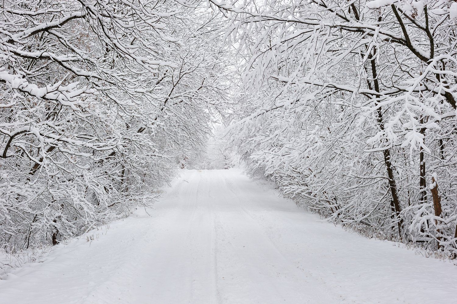 Snow Rain Wallpapers - Top Free Snow Rain Backgrounds - WallpaperAccess