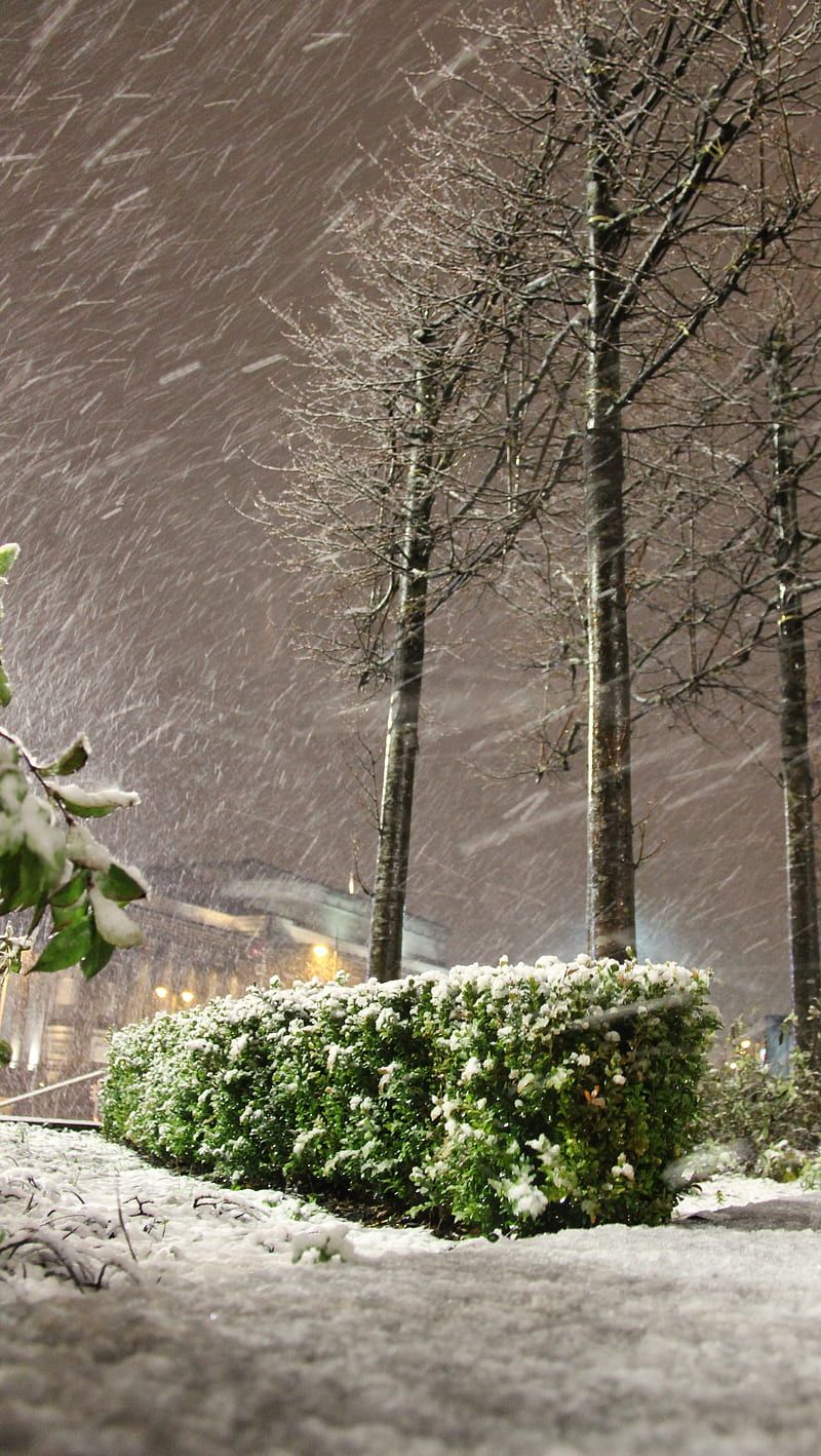 Snow Rain Wallpapers - Top Free Snow Rain Backgrounds - WallpaperAccess