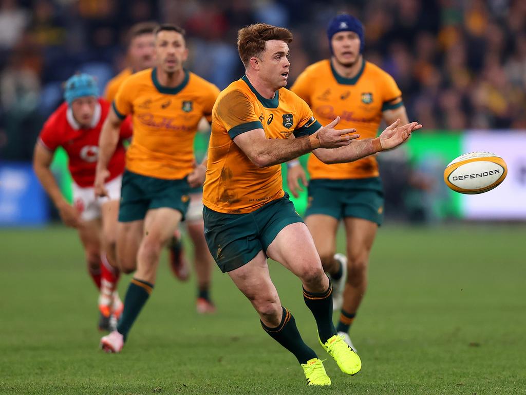 Wallabies Wallpapers - Top Free Wallabies Backgrounds - WallpaperAccess