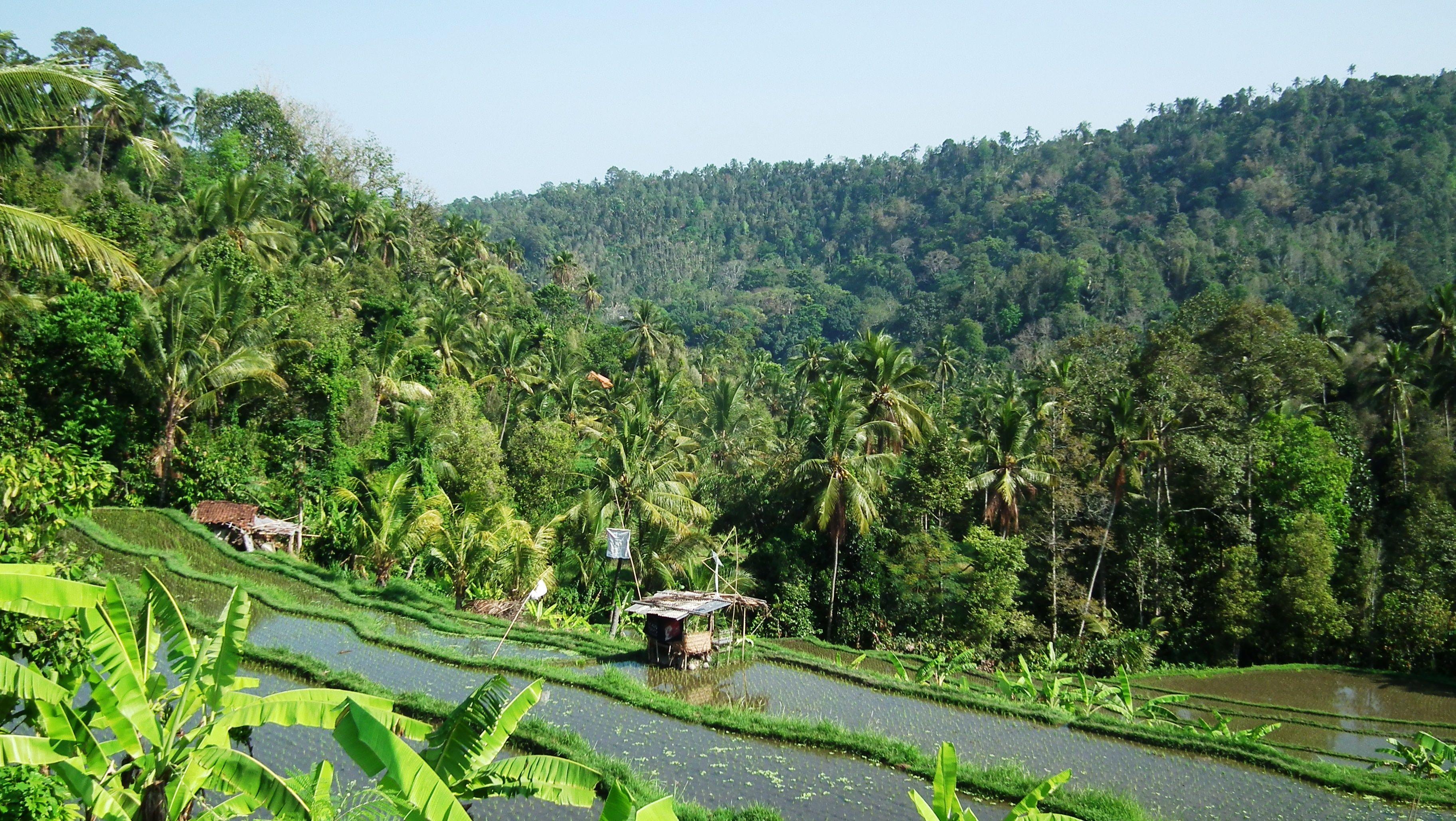 Bali HD Wallpapers - Top Free Bali HD Backgrounds - WallpaperAccess