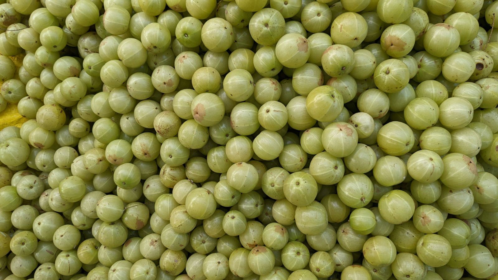 Amla Wallpapers - Top Free Amla Backgrounds - WallpaperAccess