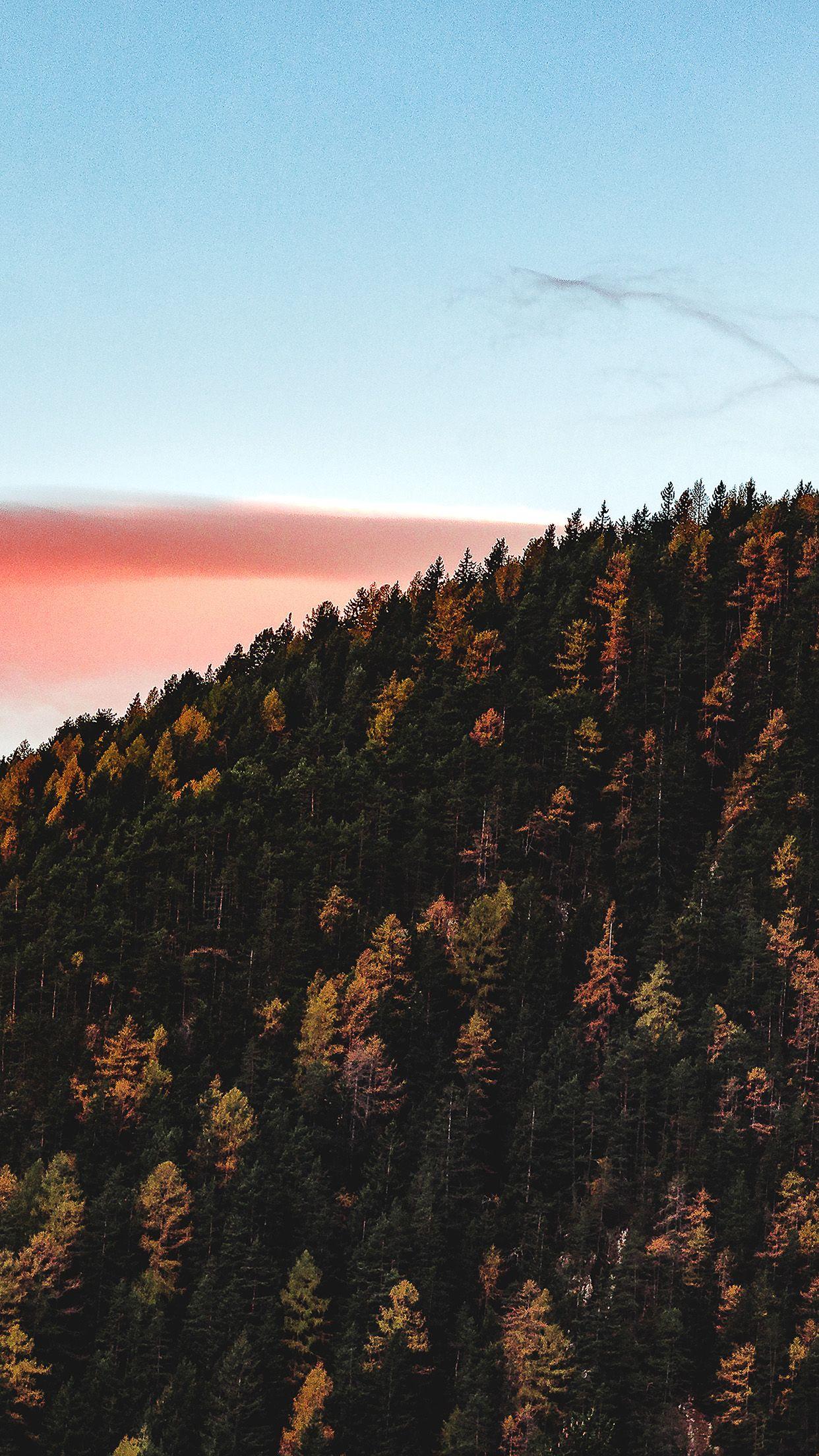 Autumn Nature iPhone Wallpapers - Top Free Autumn Nature iPhone ...