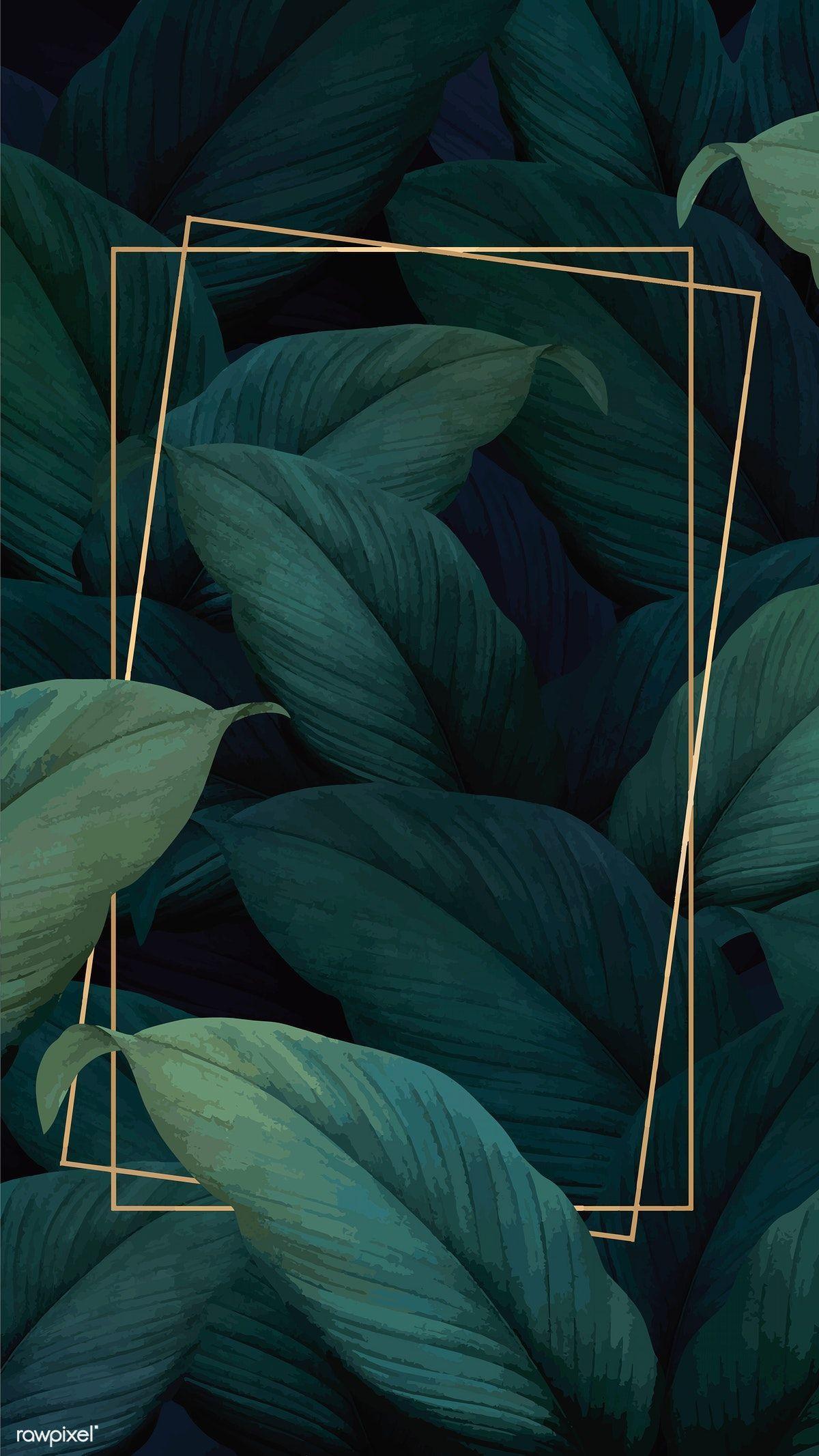 Leaves iPhone Wallpapers - Top Free Leaves iPhone Backgrounds ...