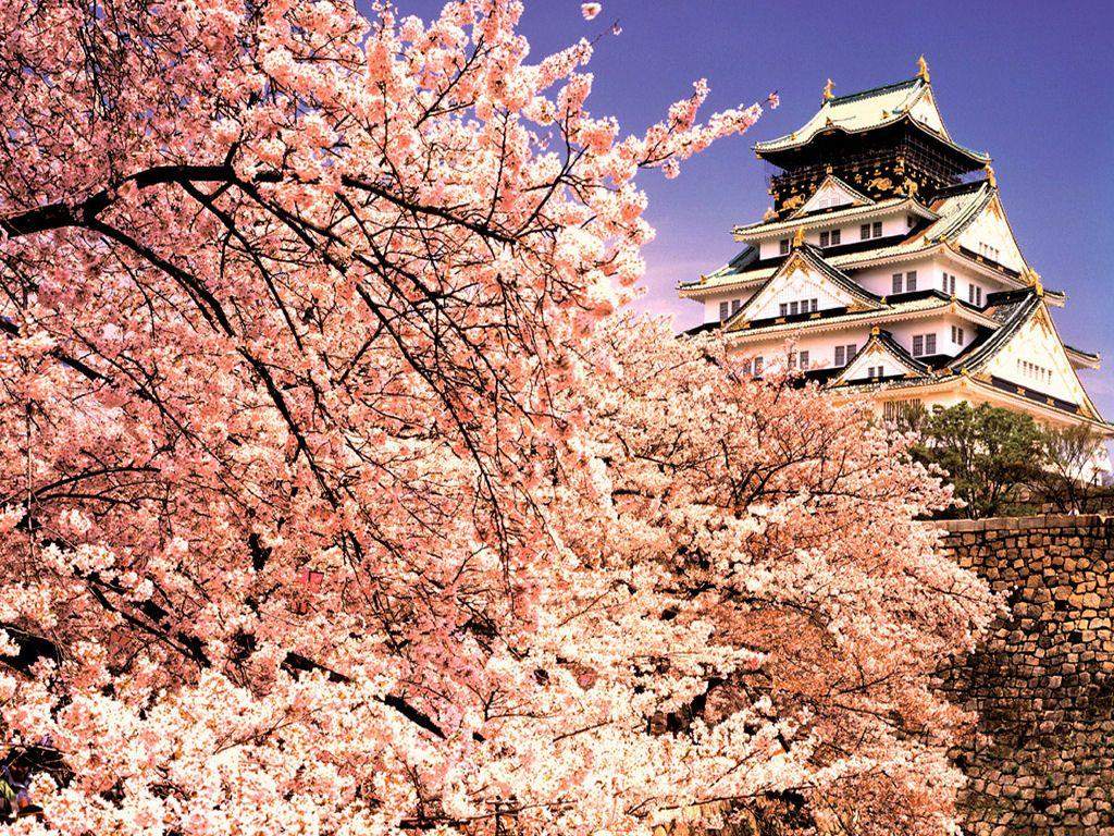 Osaka Castle Wallpapers - Top Free Osaka Castle Backgrounds ...