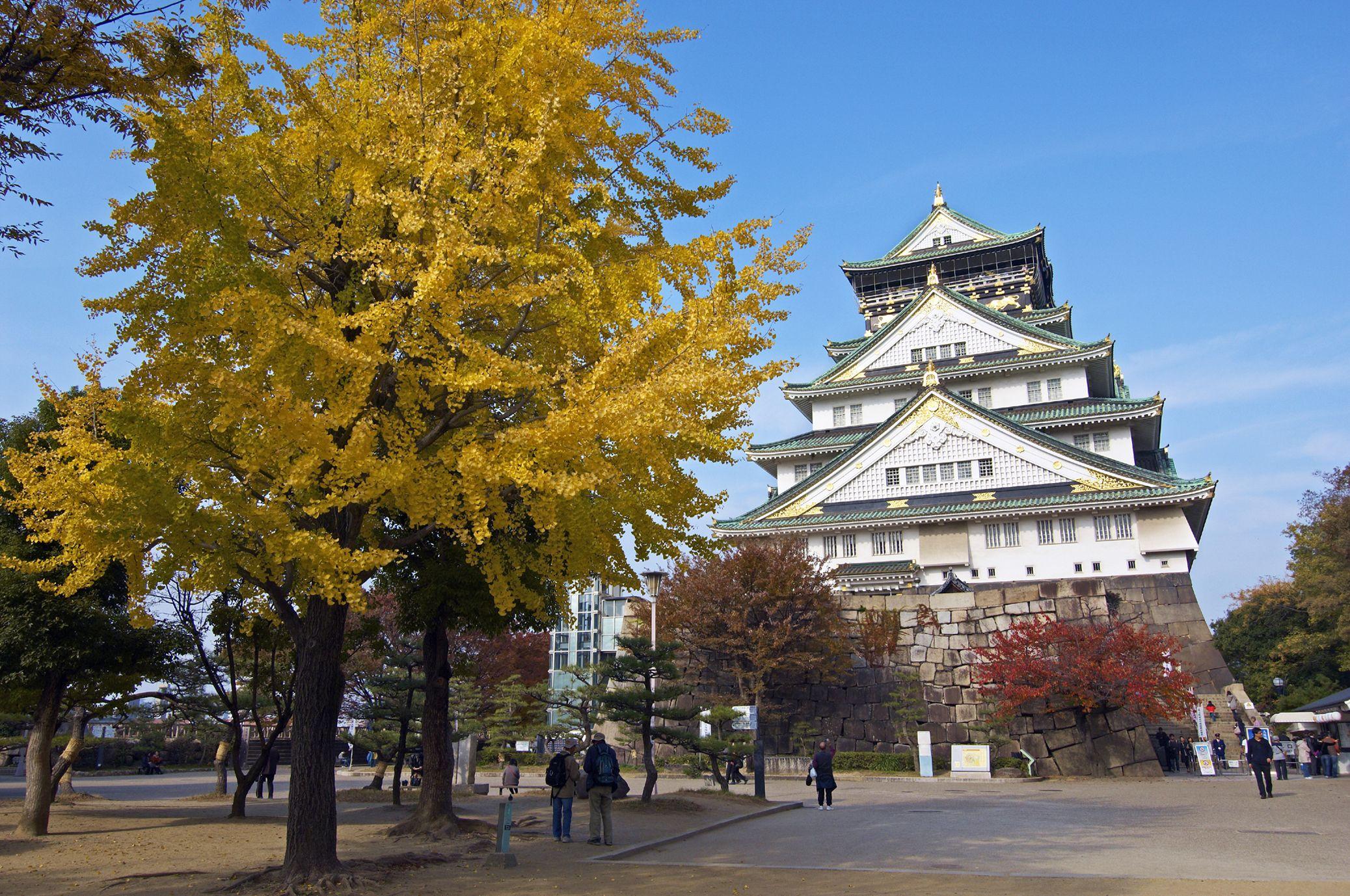 Osaka Castle Wallpapers - Top Free Osaka Castle Backgrounds ...