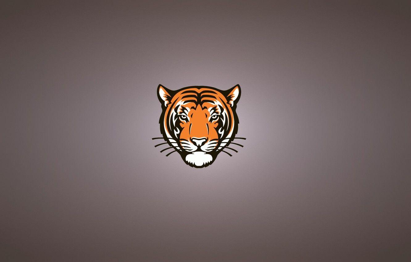 Minimalist Tiger Wallpapers - Top Free Minimalist Tiger Backgrounds ...