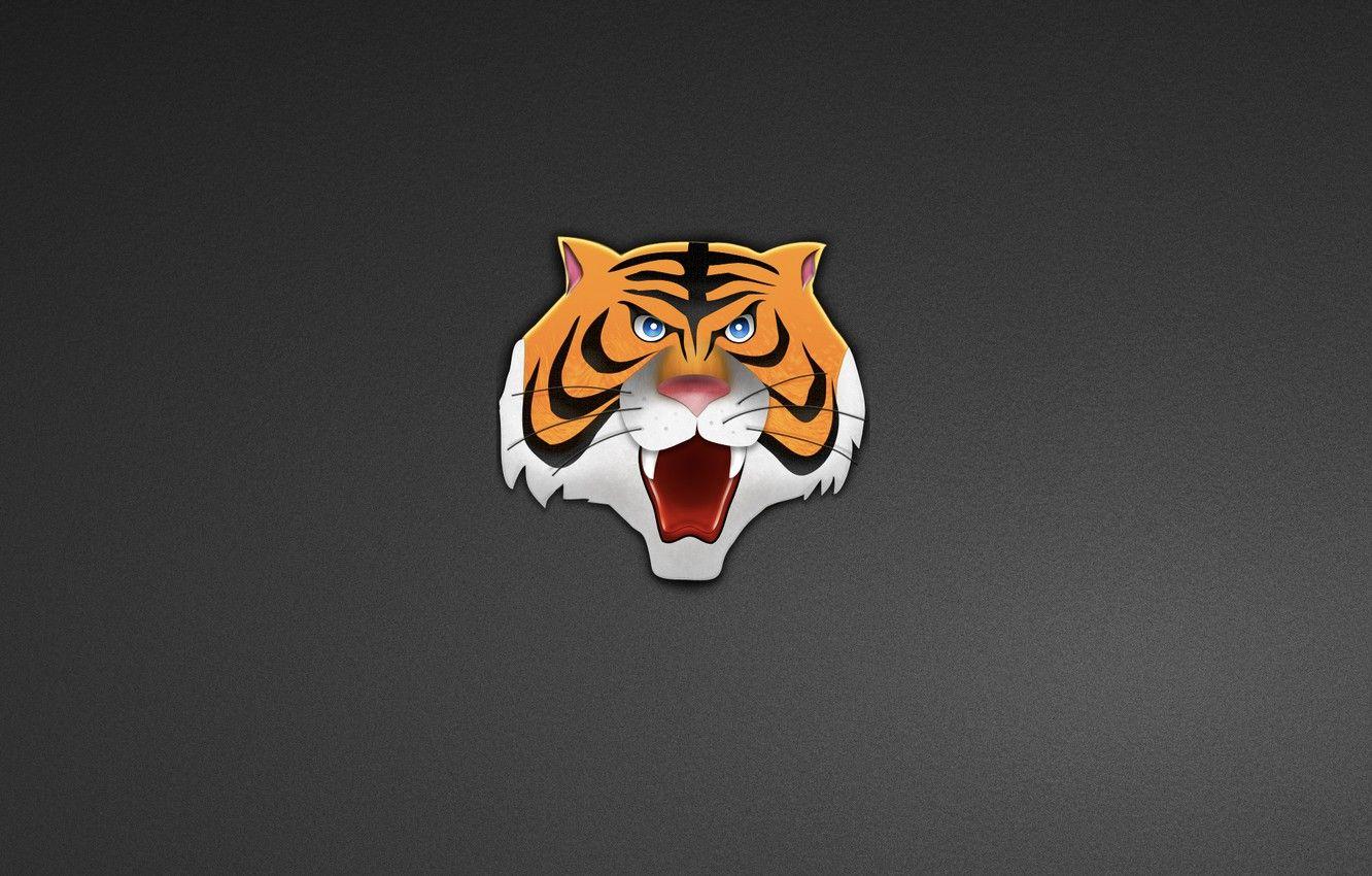 Minimalist Tiger Wallpapers - Top Free Minimalist Tiger Backgrounds ...