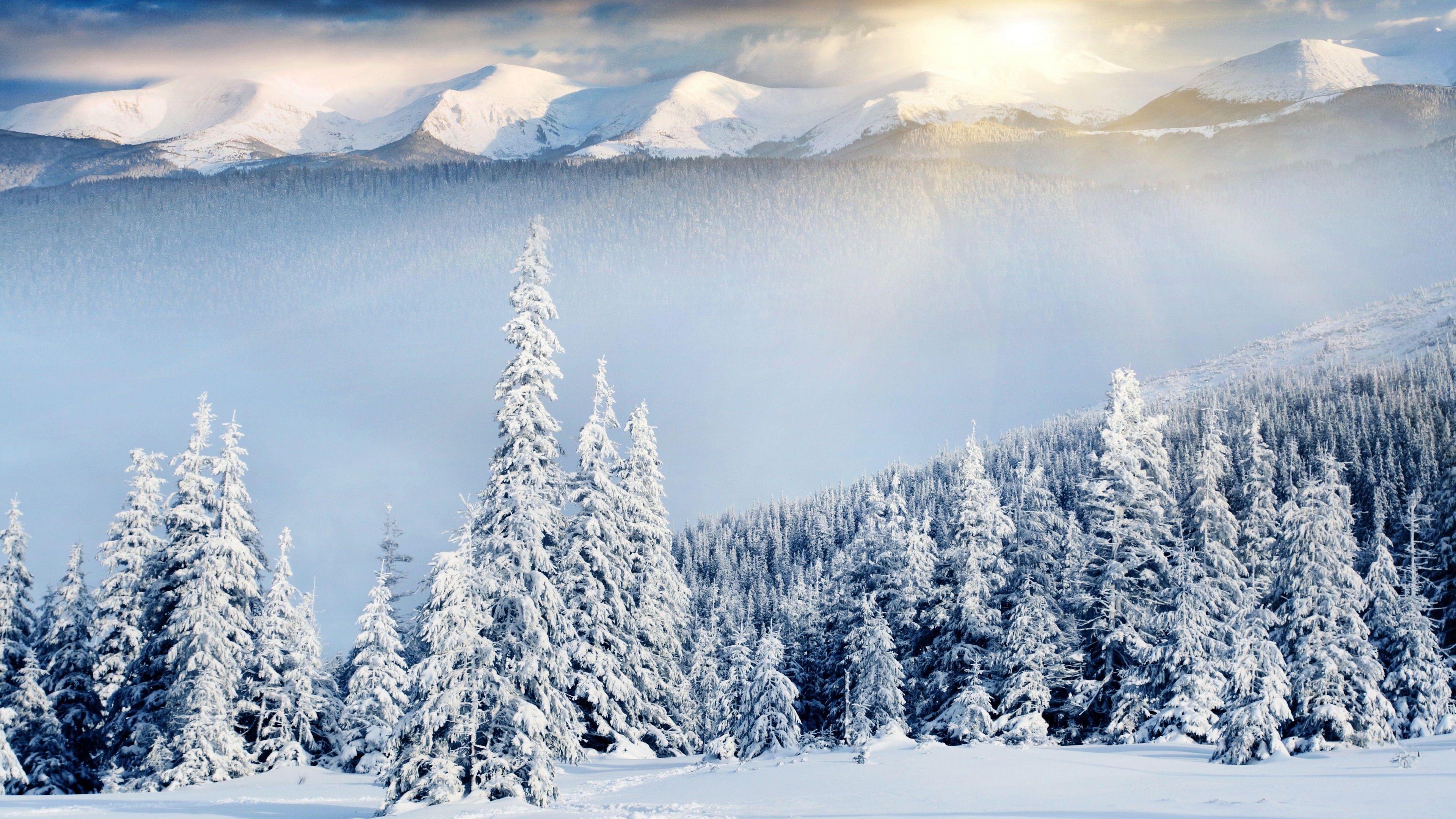 Snow 8k Wallpapers - Top Free Snow 8k Backgrounds - WallpaperAccess