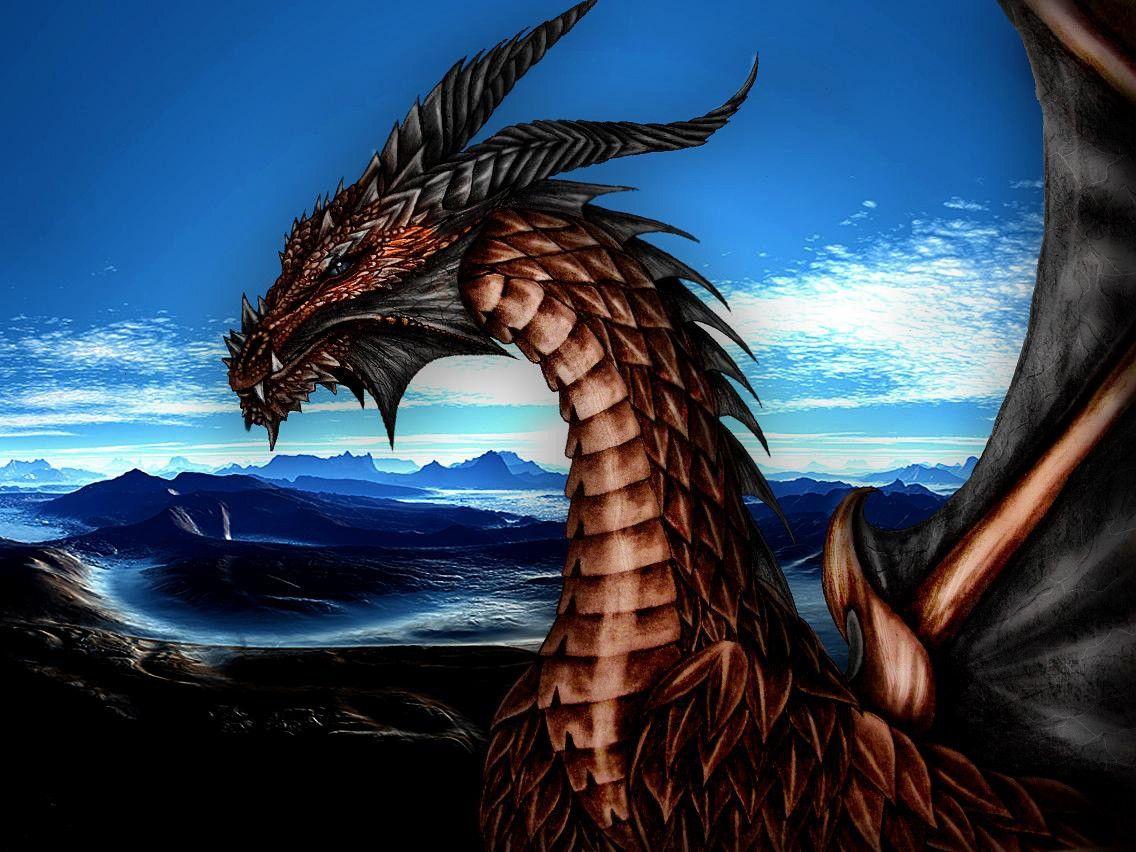 Guardian Dragon Wallpapers - Top Free Guardian Dragon Backgrounds ...