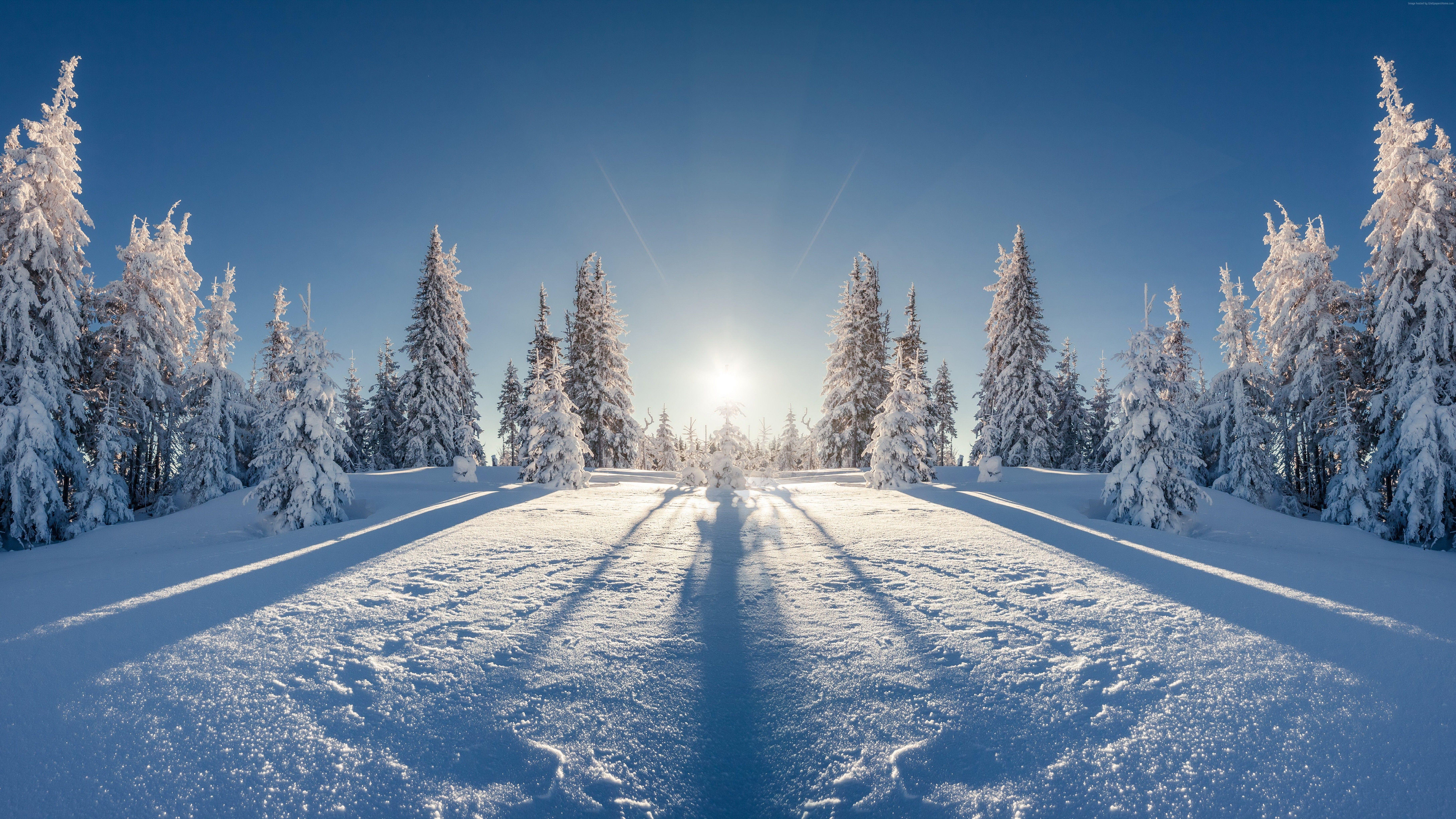 Snow 8k Wallpapers - Top Free Snow 8k Backgrounds - WallpaperAccess