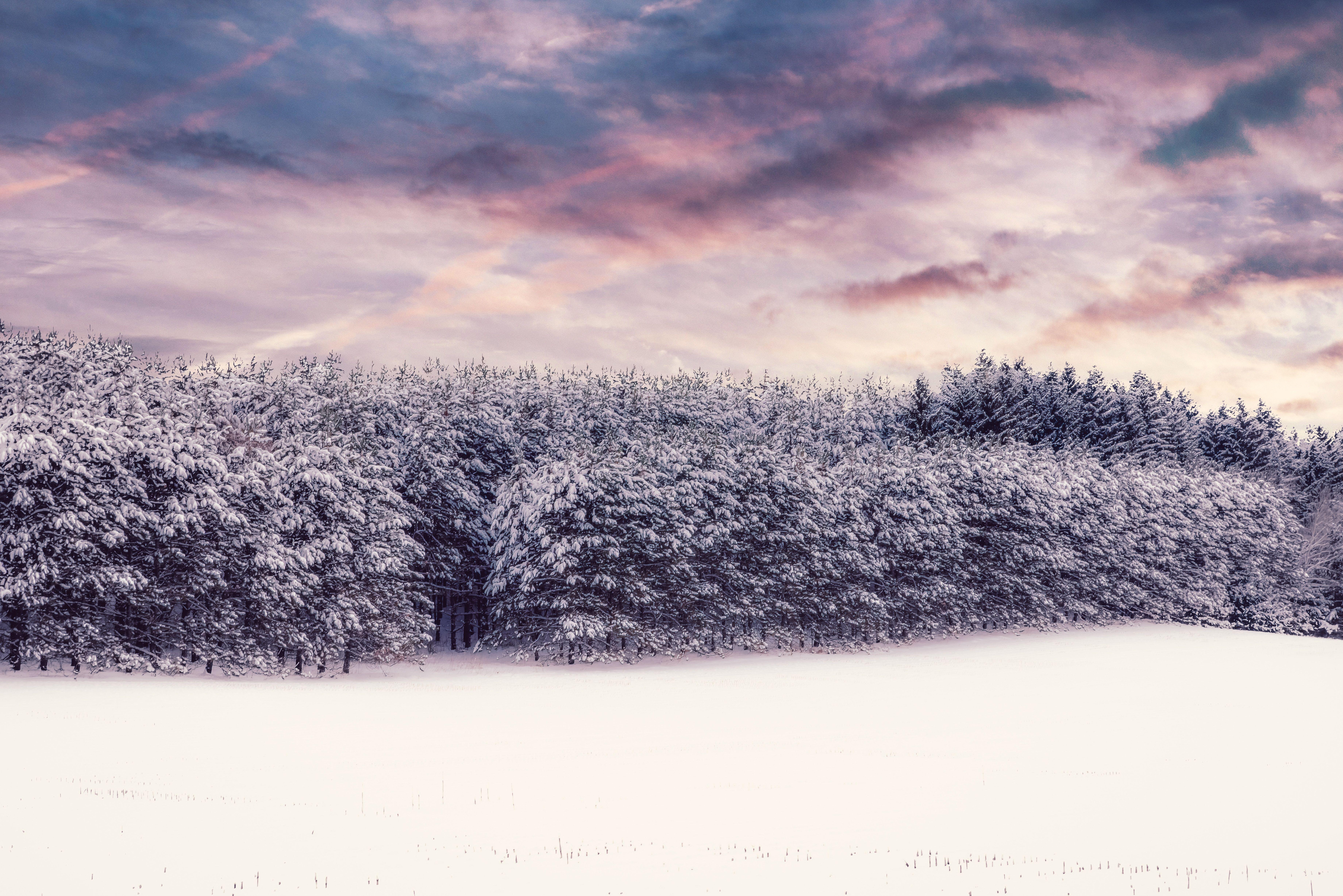 8k Winter Wallpapers - Top Free 8k Winter Backgrounds - WallpaperAccess