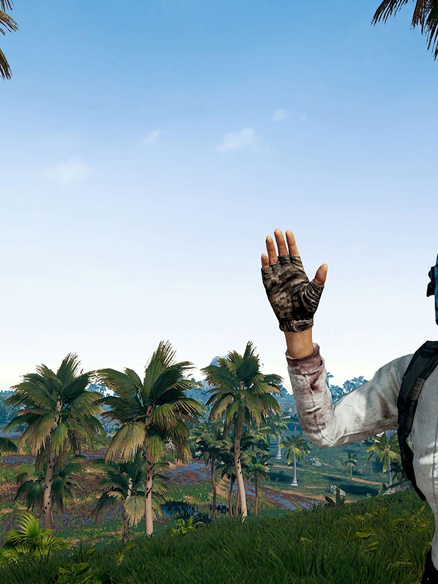Sanhok Wallpapers - Top Free Sanhok Backgrounds - WallpaperAccess