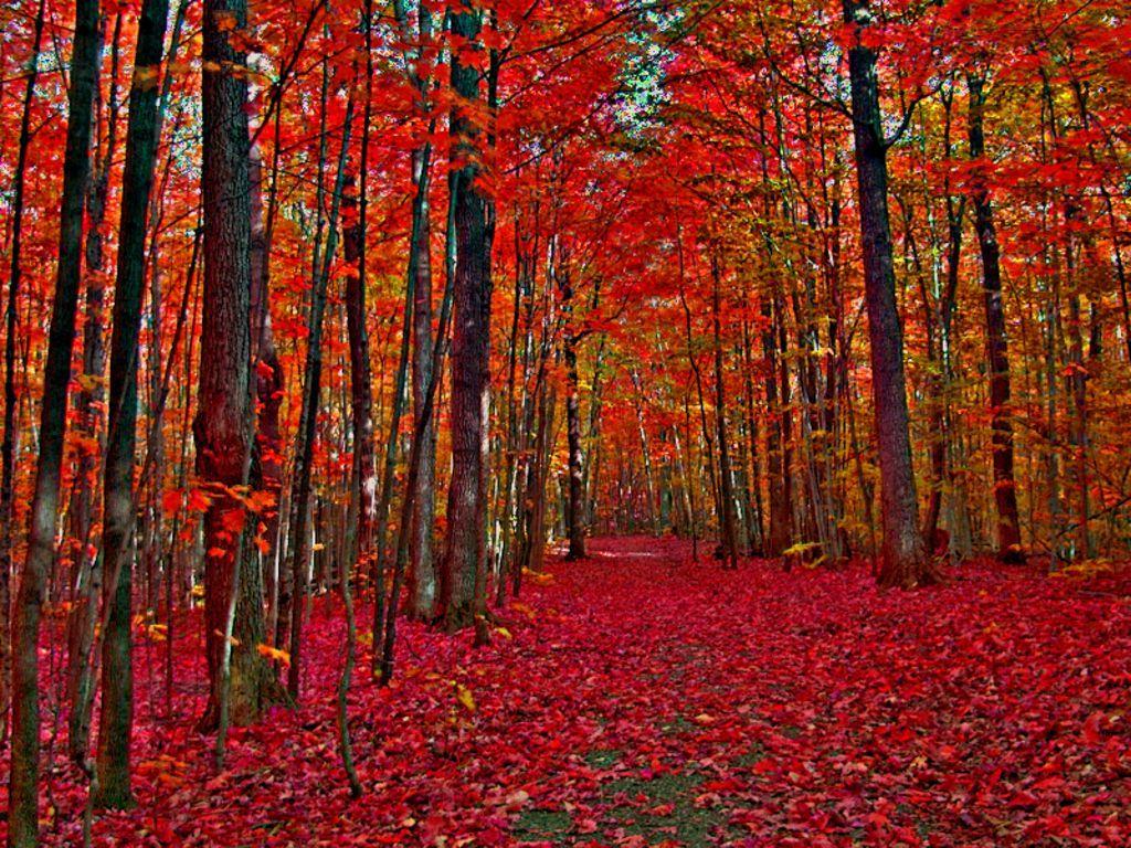 Quebec Canada Wallpapers - Top Free Quebec Canada Backgrounds ...