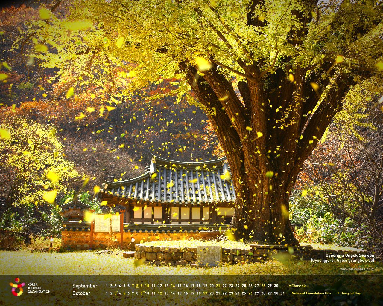 Korean Autumn Wallpapers - Top Free Korean Autumn Backgrounds ...