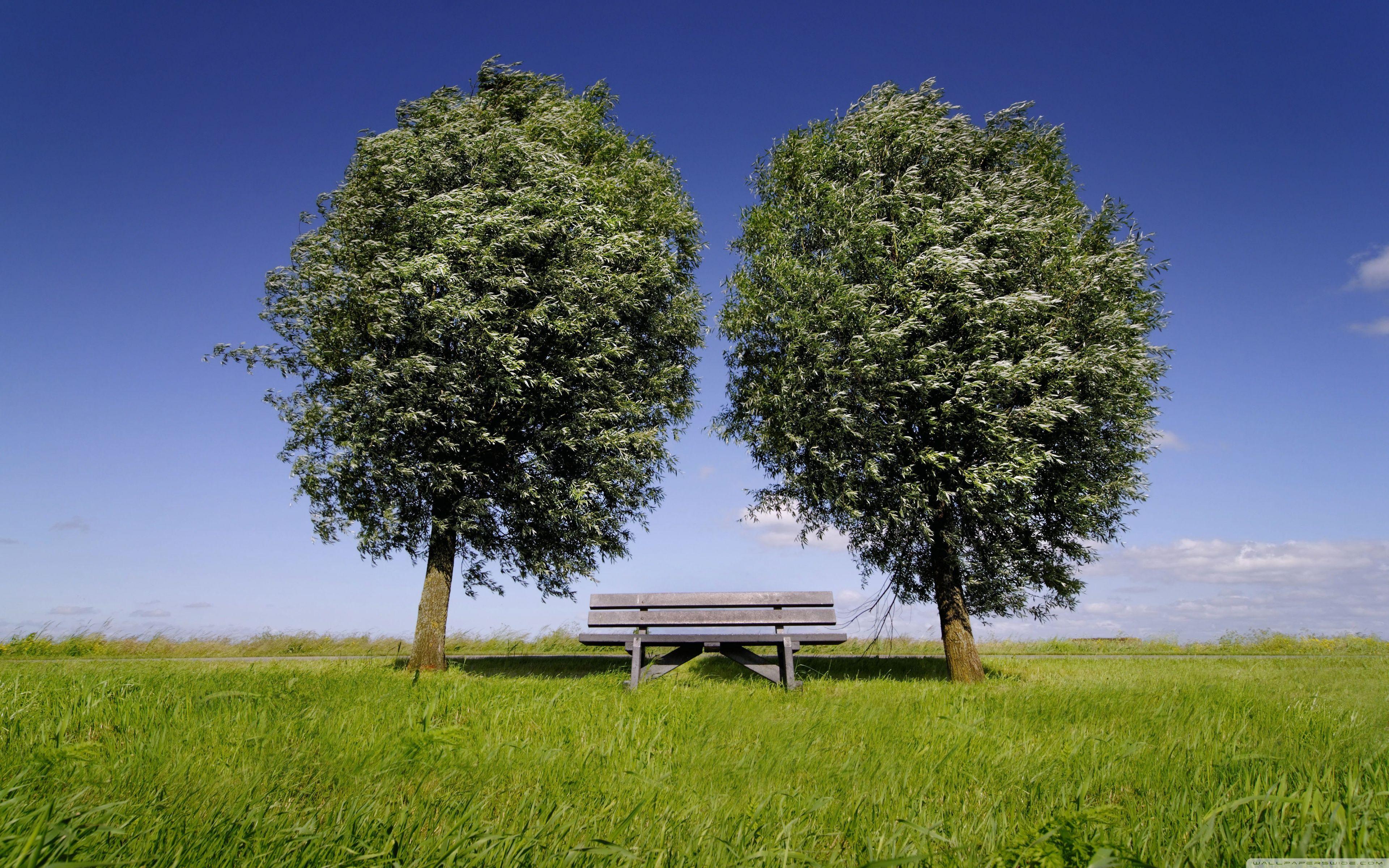 Symmetrical Wallpapers - Top Free Symmetrical Backgrounds - WallpaperAccess