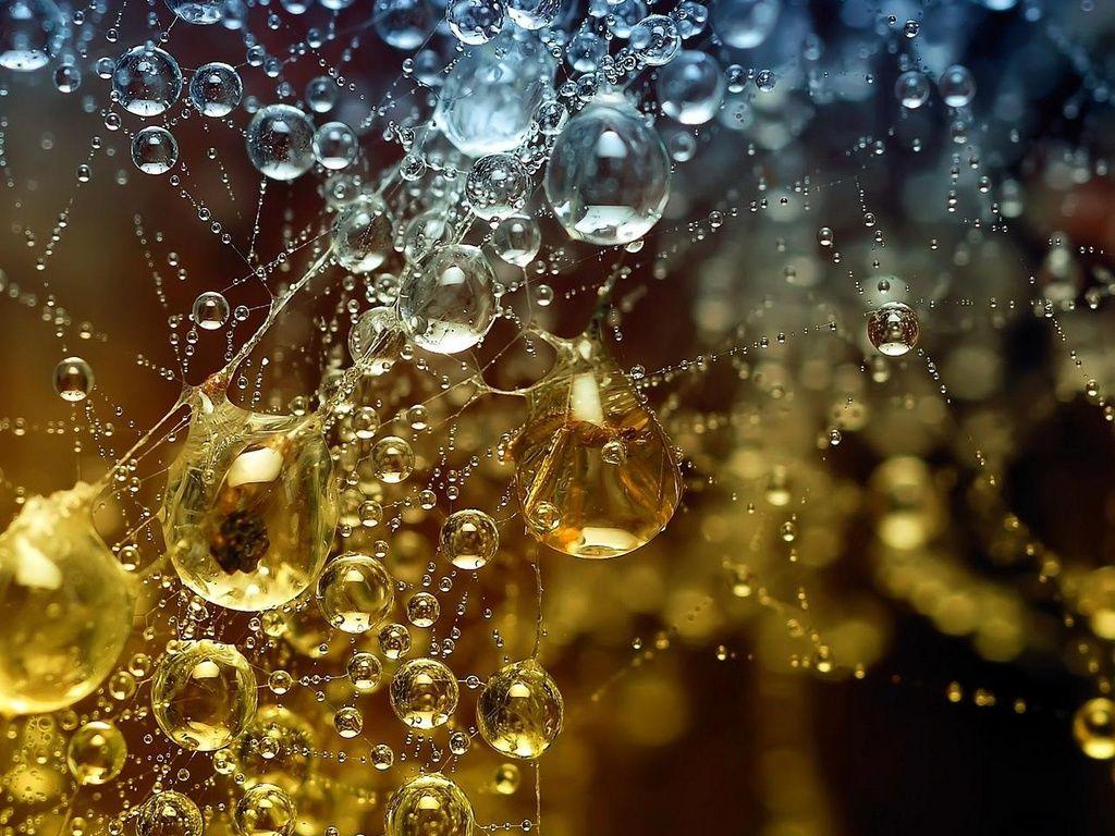 Swarovski Wallpapers - Top Free Swarovski Backgrounds - WallpaperAccess